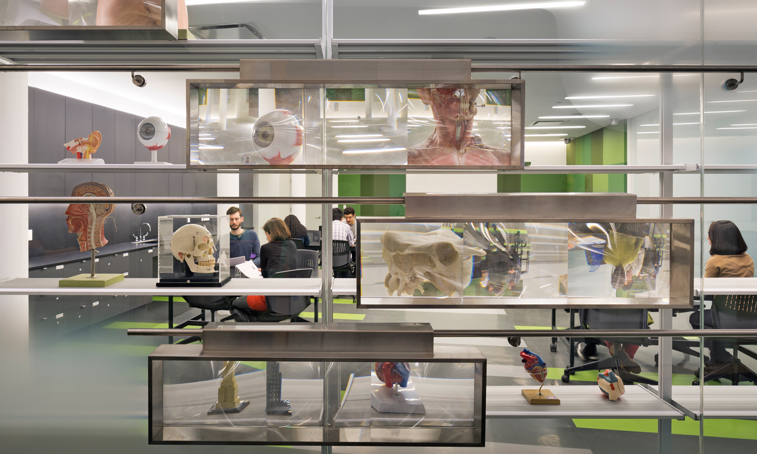 NYU Steinhardt School of Culture, Education, and Human Development by ...