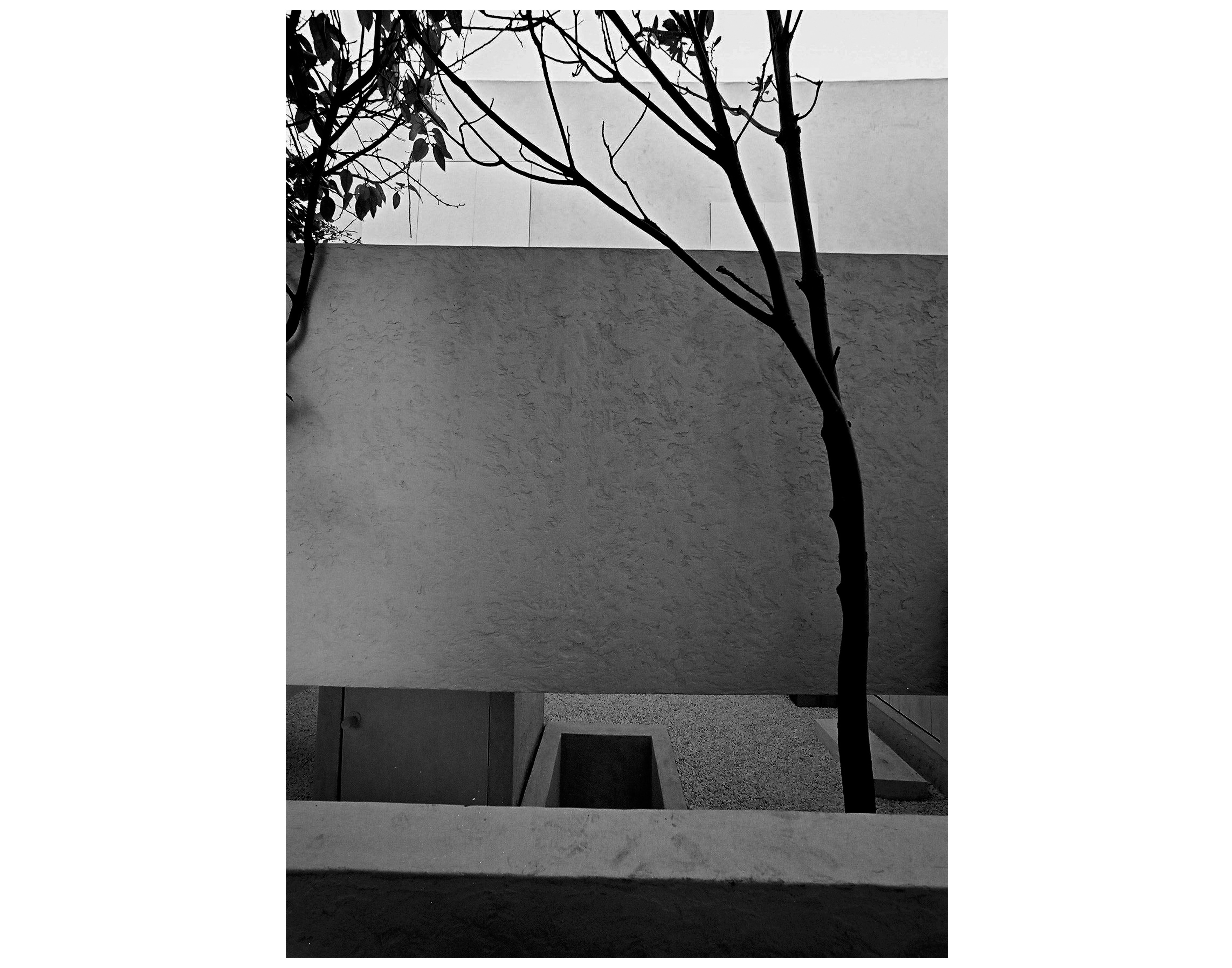 Zen Garden at Zero Quantity House by Ben Ryuki Miyagi, Architect - Architizer