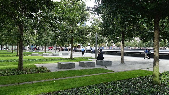 National September 11 Memorial by PWP Landscape Architecture - Architizer