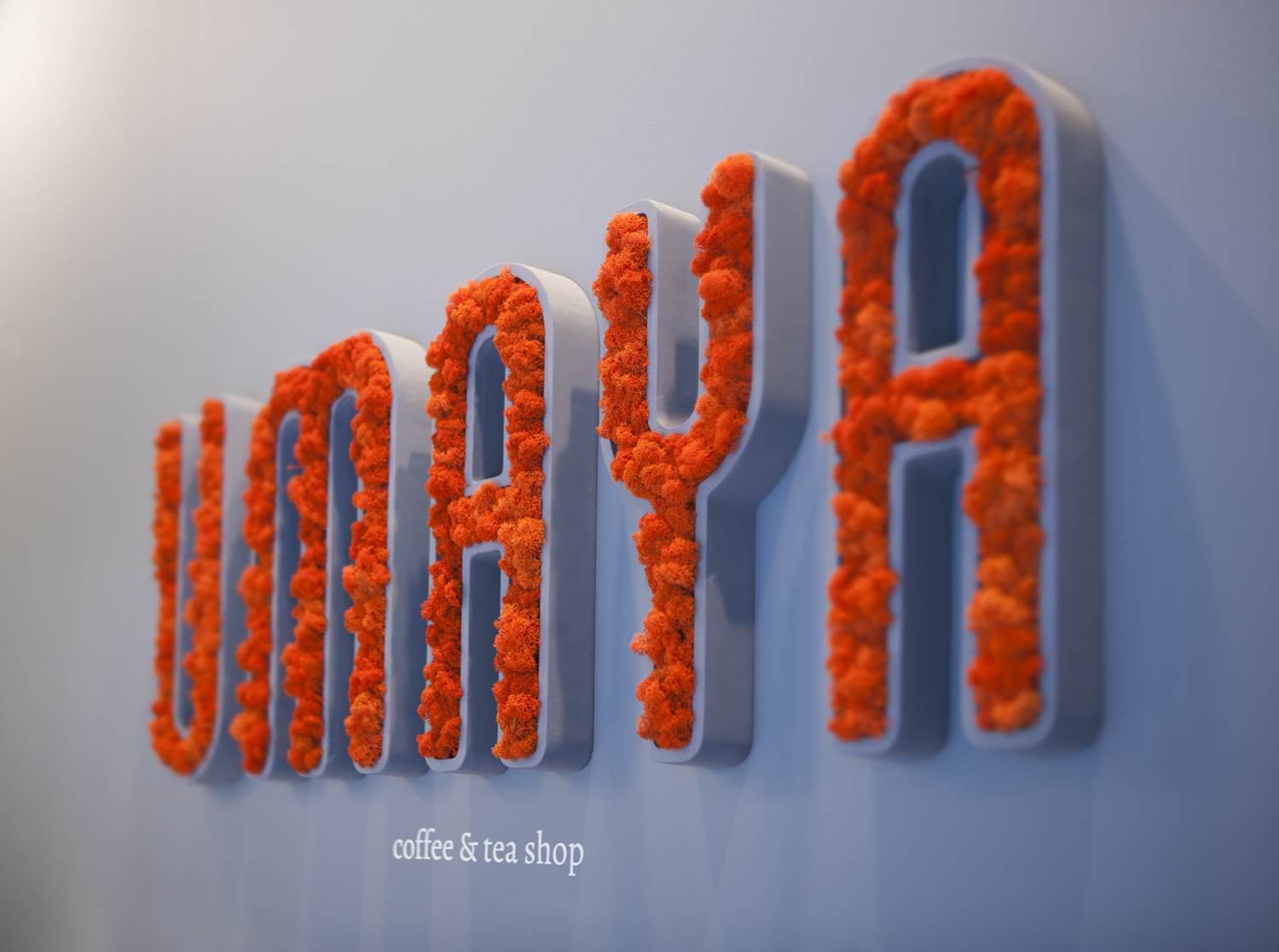 UMAYA by ANDREA MUÑOZ DISEÑO - Architizer