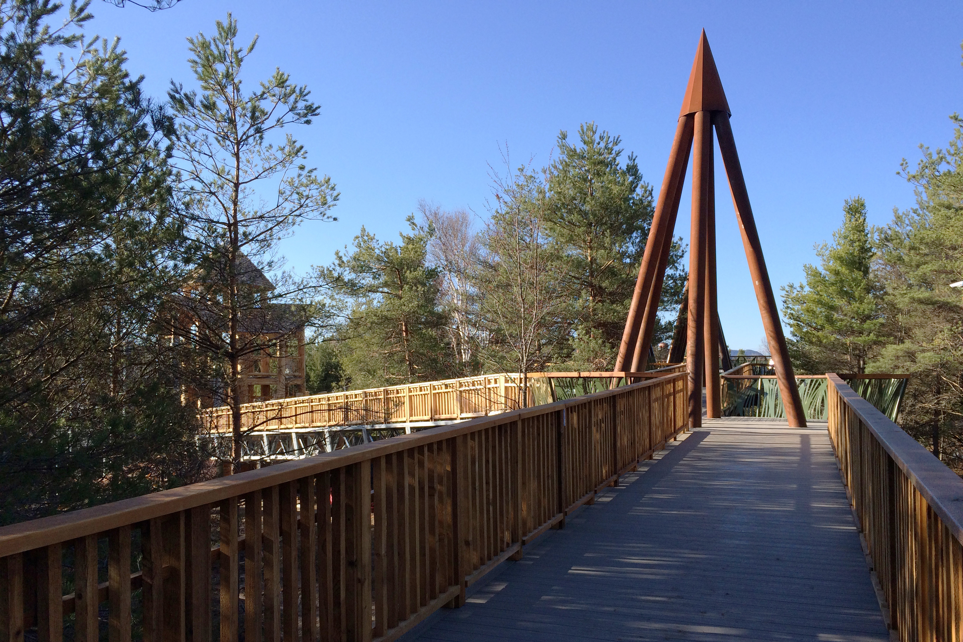 Wild Walk by Linearscape - Architizer