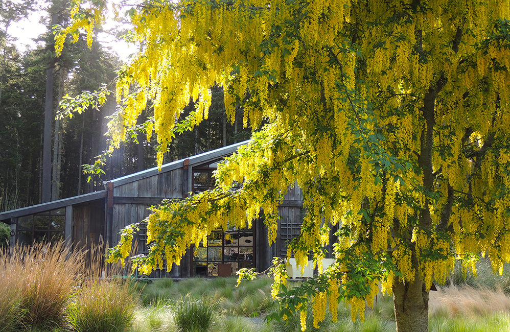 A Barn For All Seasons by INCLINEDESIGN - Architizer