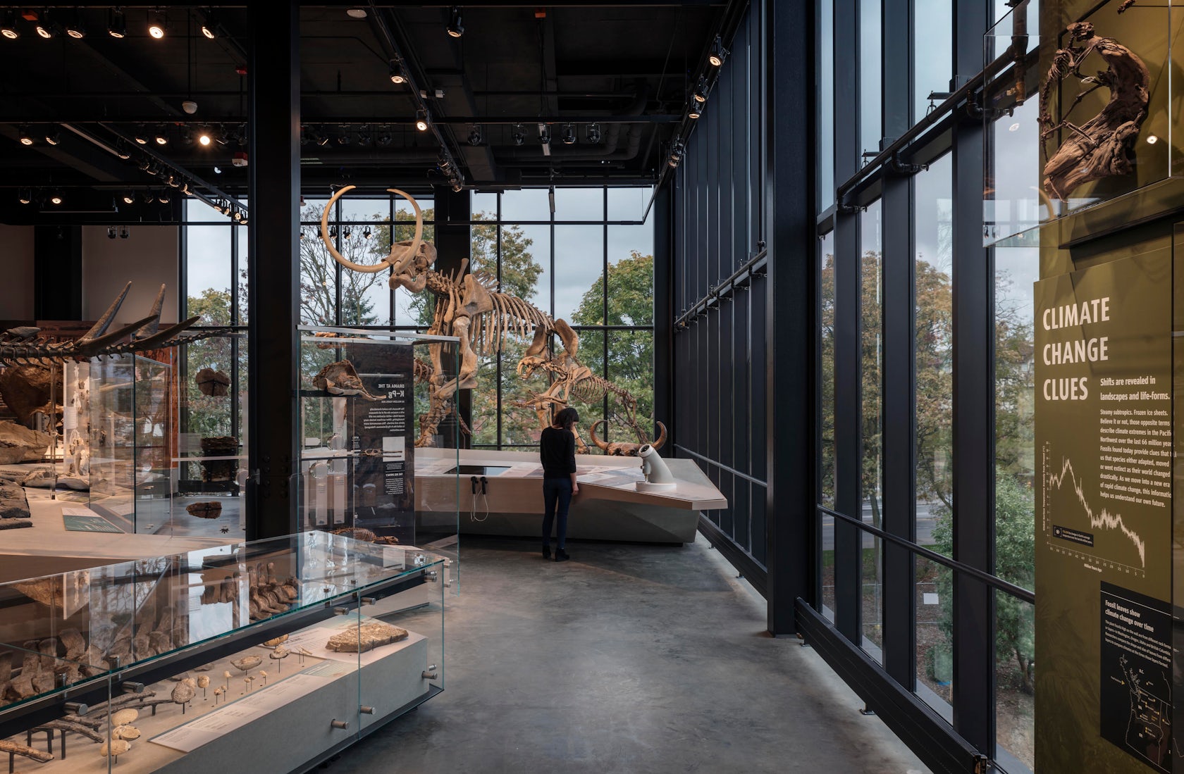 Burke Museum Of Natural History And Culture By Olson Kundig Architizer