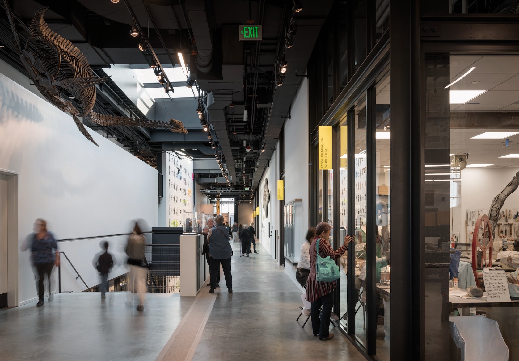 Burke Museum Of Natural History And Culture By Olson Kundig Architizer