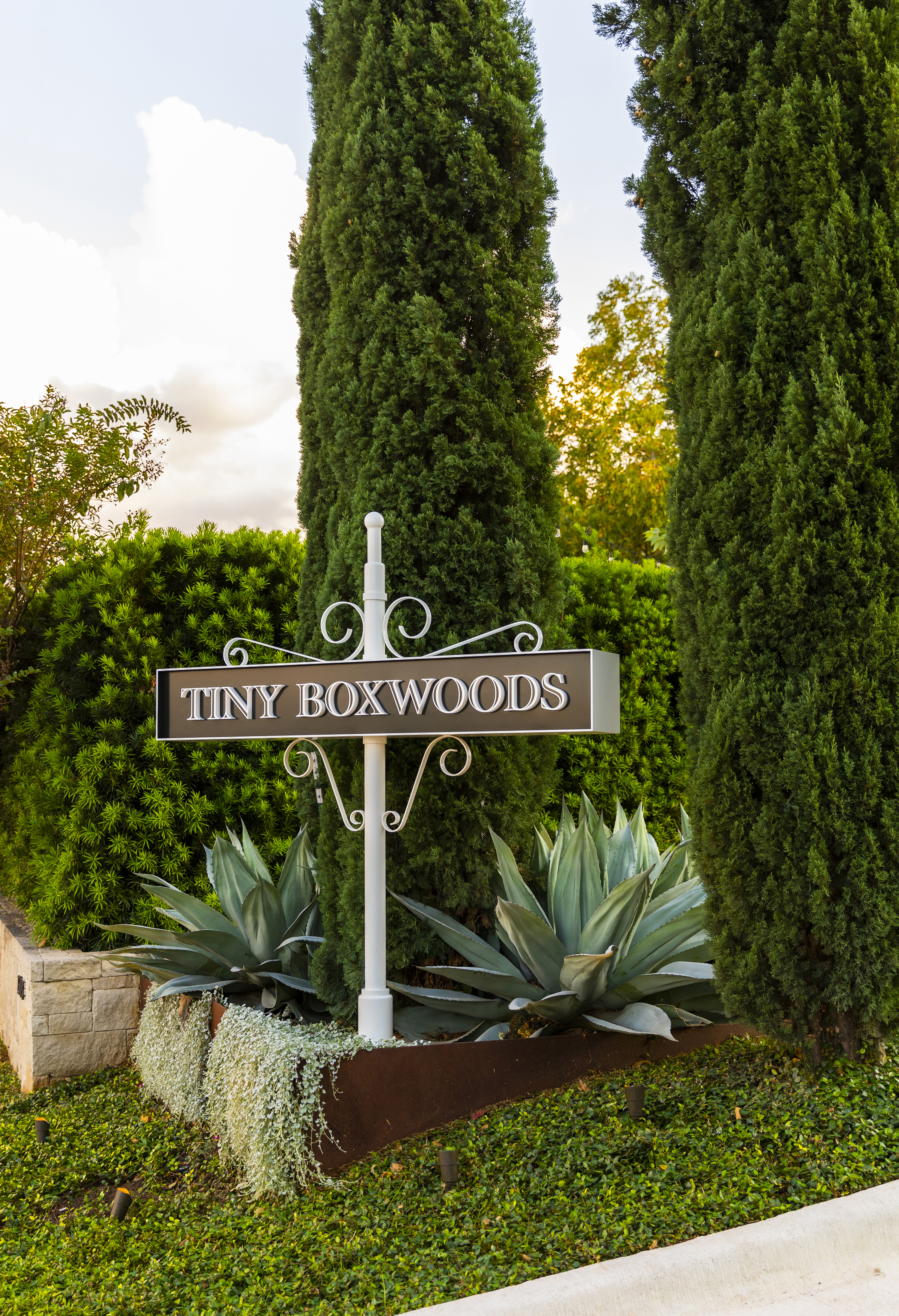 Tiny Boxwoods by Ryan Street Architects - Architizer