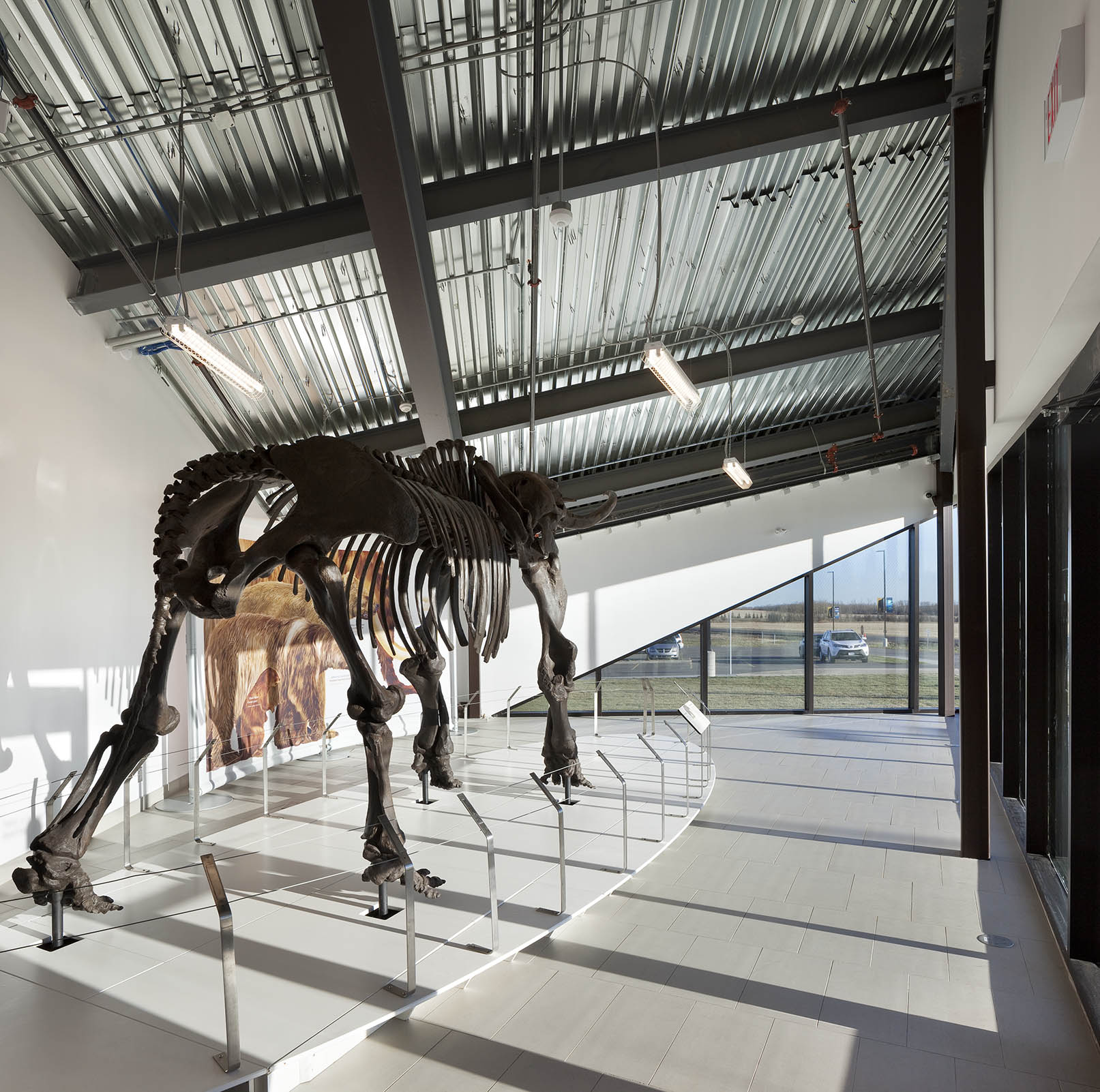 The Philip J. Currie Dinosaur Museum by Teeple Architects - Architizer
