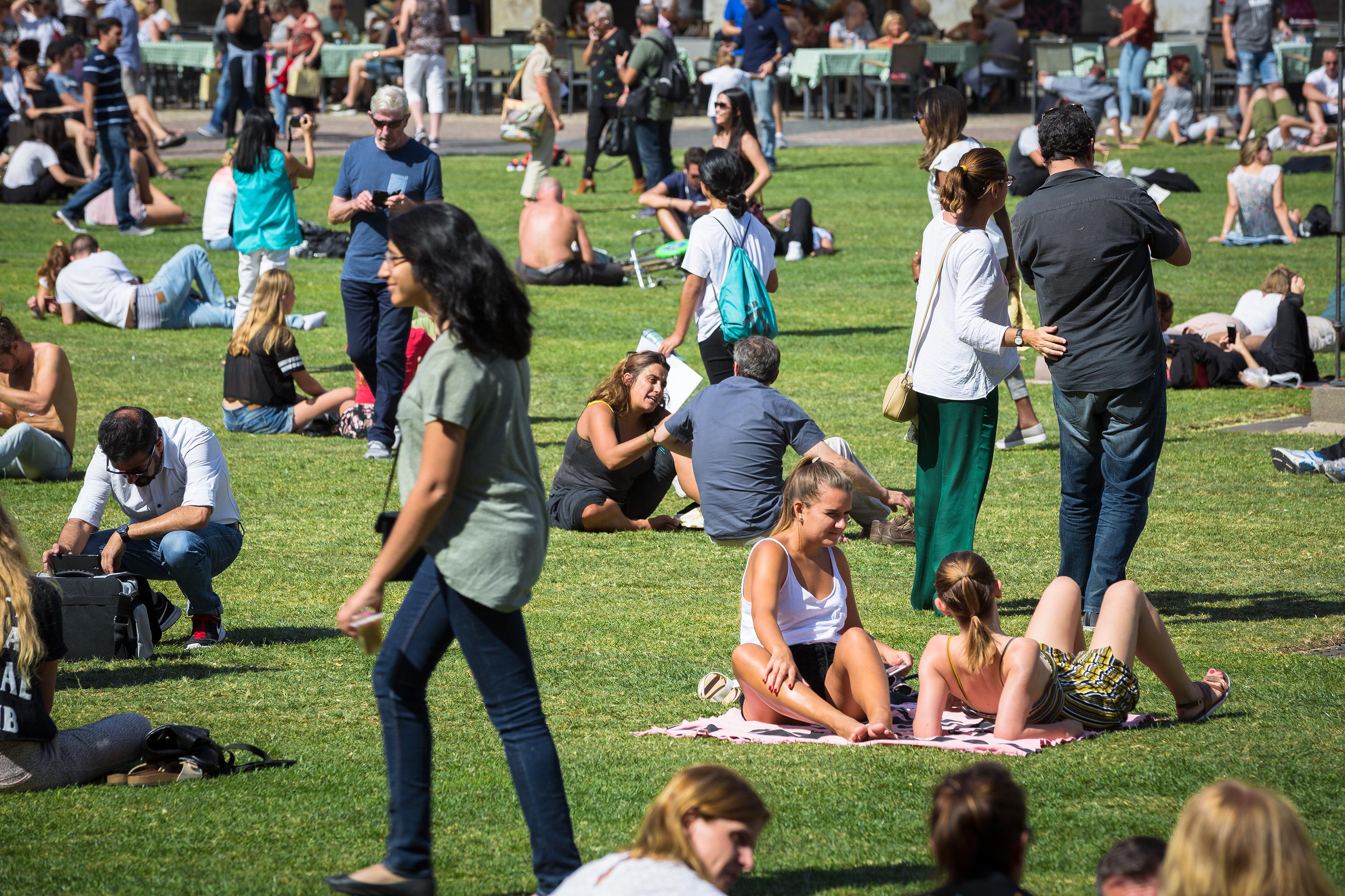 CESPED by SpY Studio - Architizer