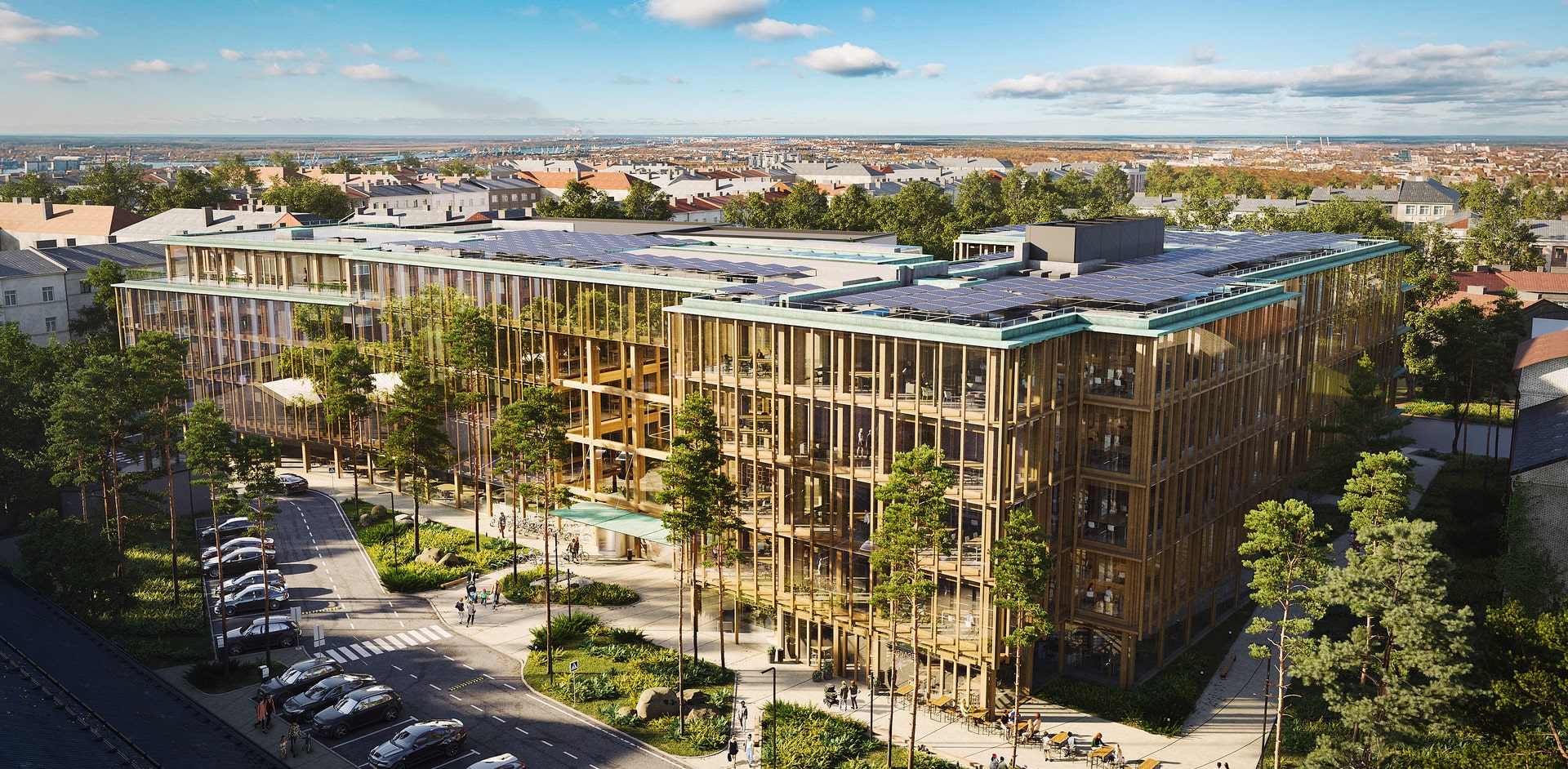 The Pine by Arrow Architects - Architizer