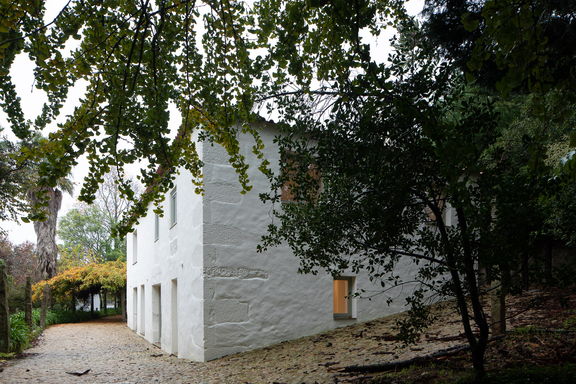 QBN House by Pardo - Architizer