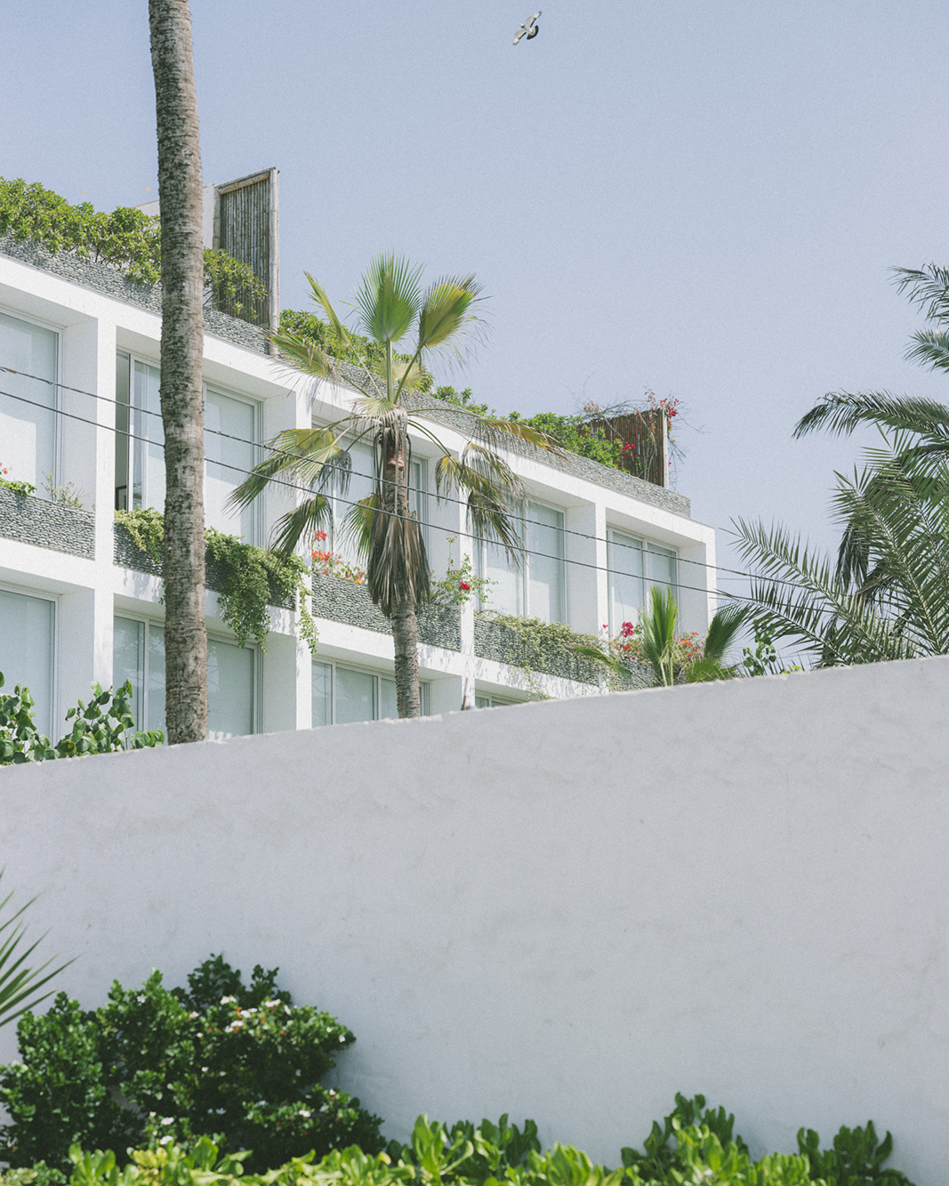 Edificio Abeja by Martin Dulanto Arquitecto - Architizer