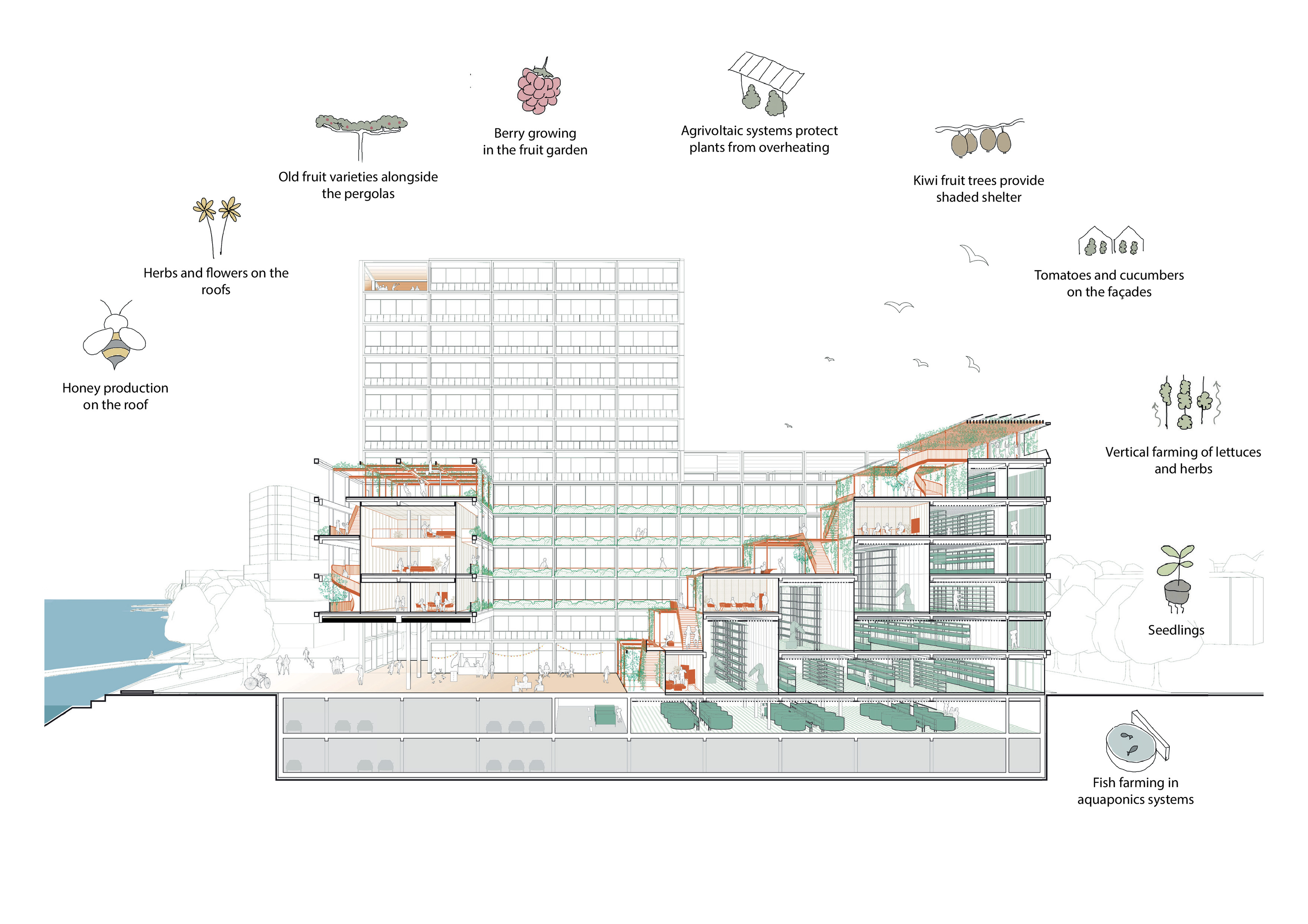 Idea 4011573: Vertical Farmhouse by HENN in Berlin, Germany - Architizer
