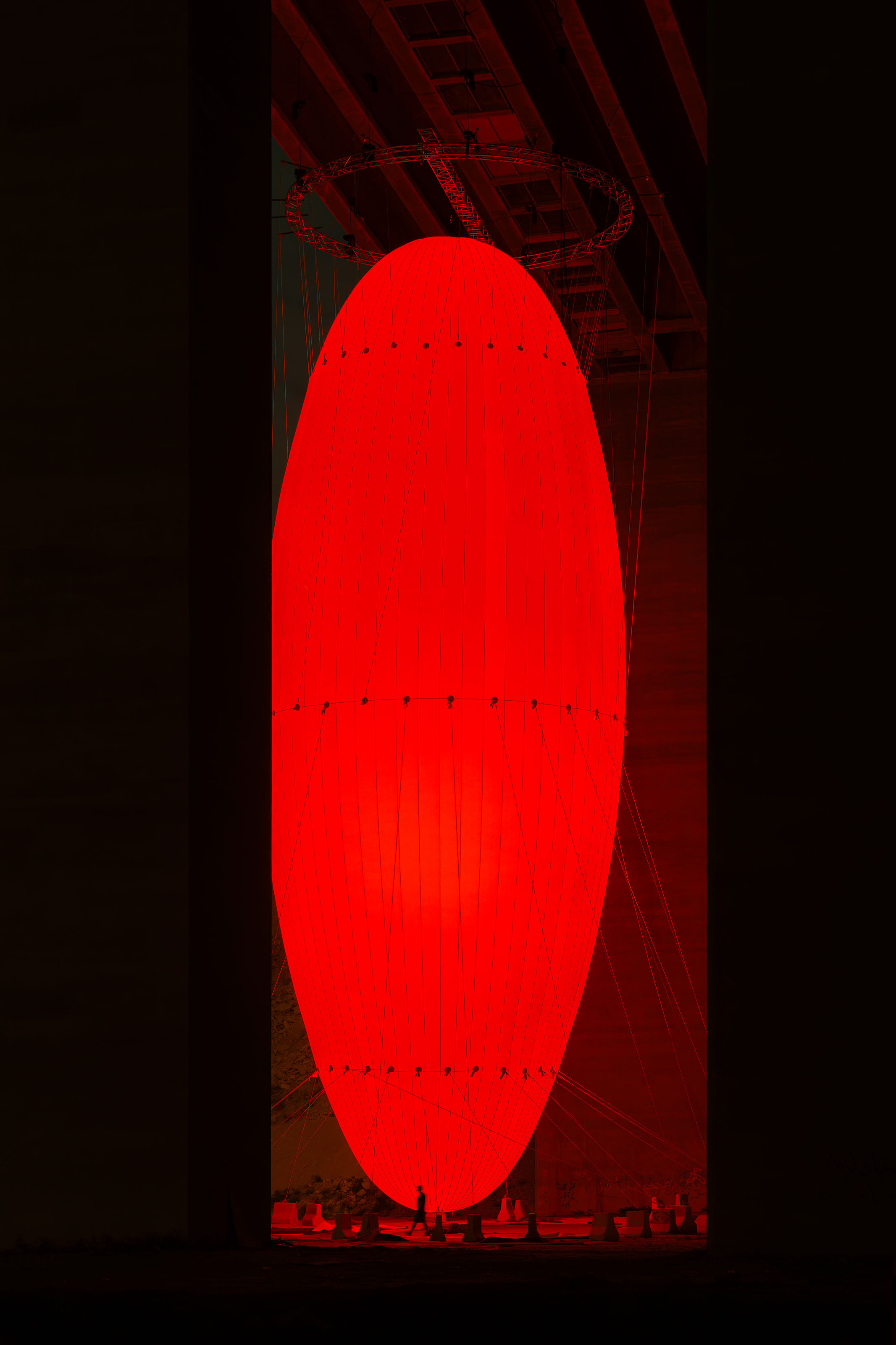 OVOID by SpY Studio - Architizer