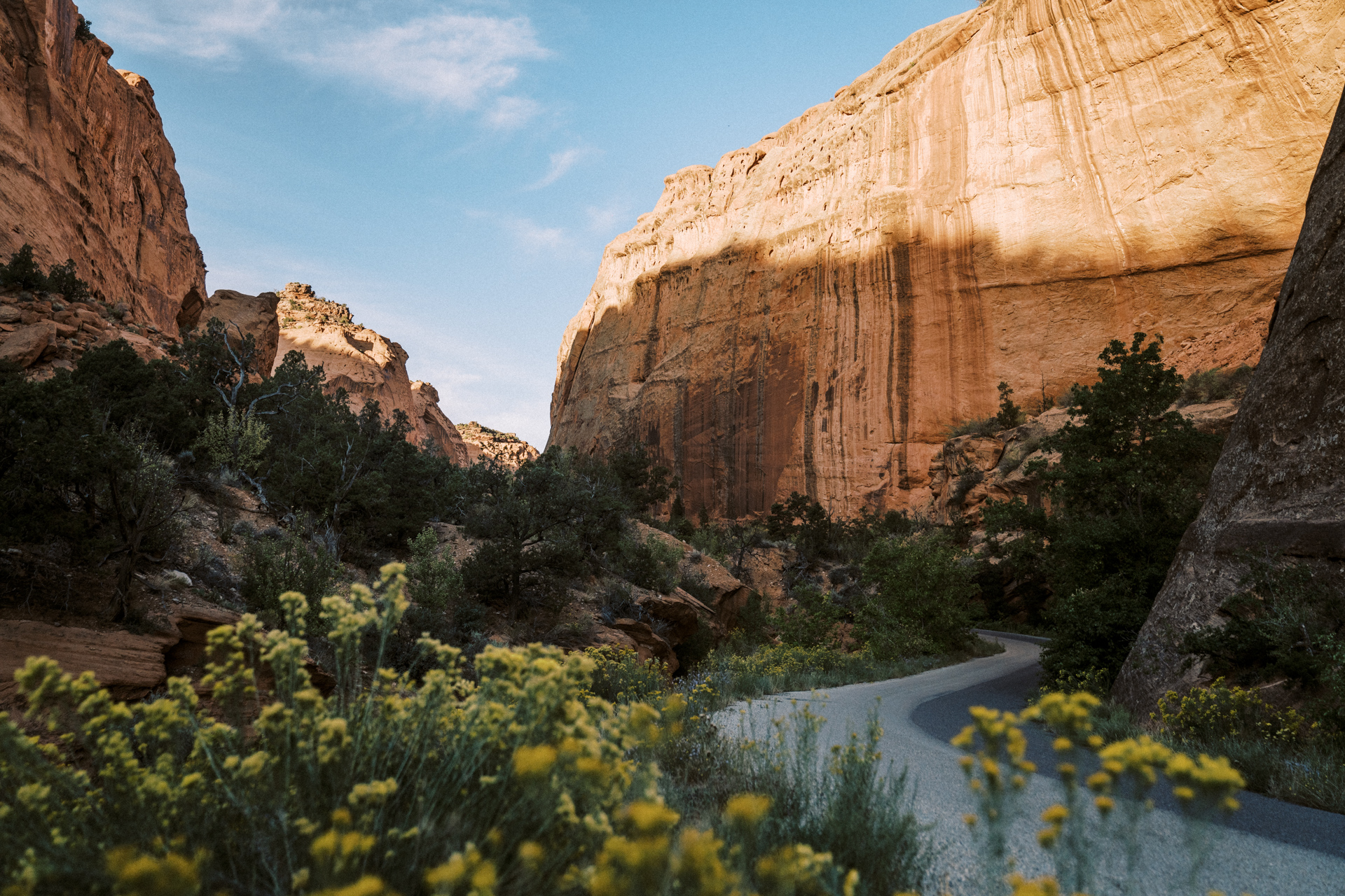 The Periphery by Locus.studio - Architizer