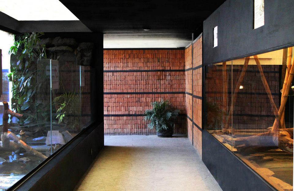 doho constructivo + Iván Marín Arquitectura - Architizer