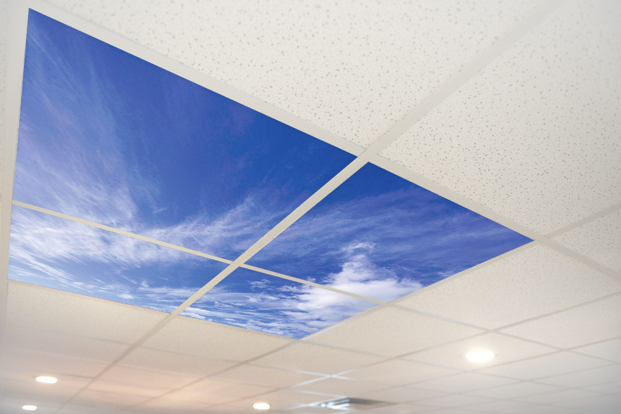 Sky & Cloud Ceilings from Ceiling Scenes - Architizer