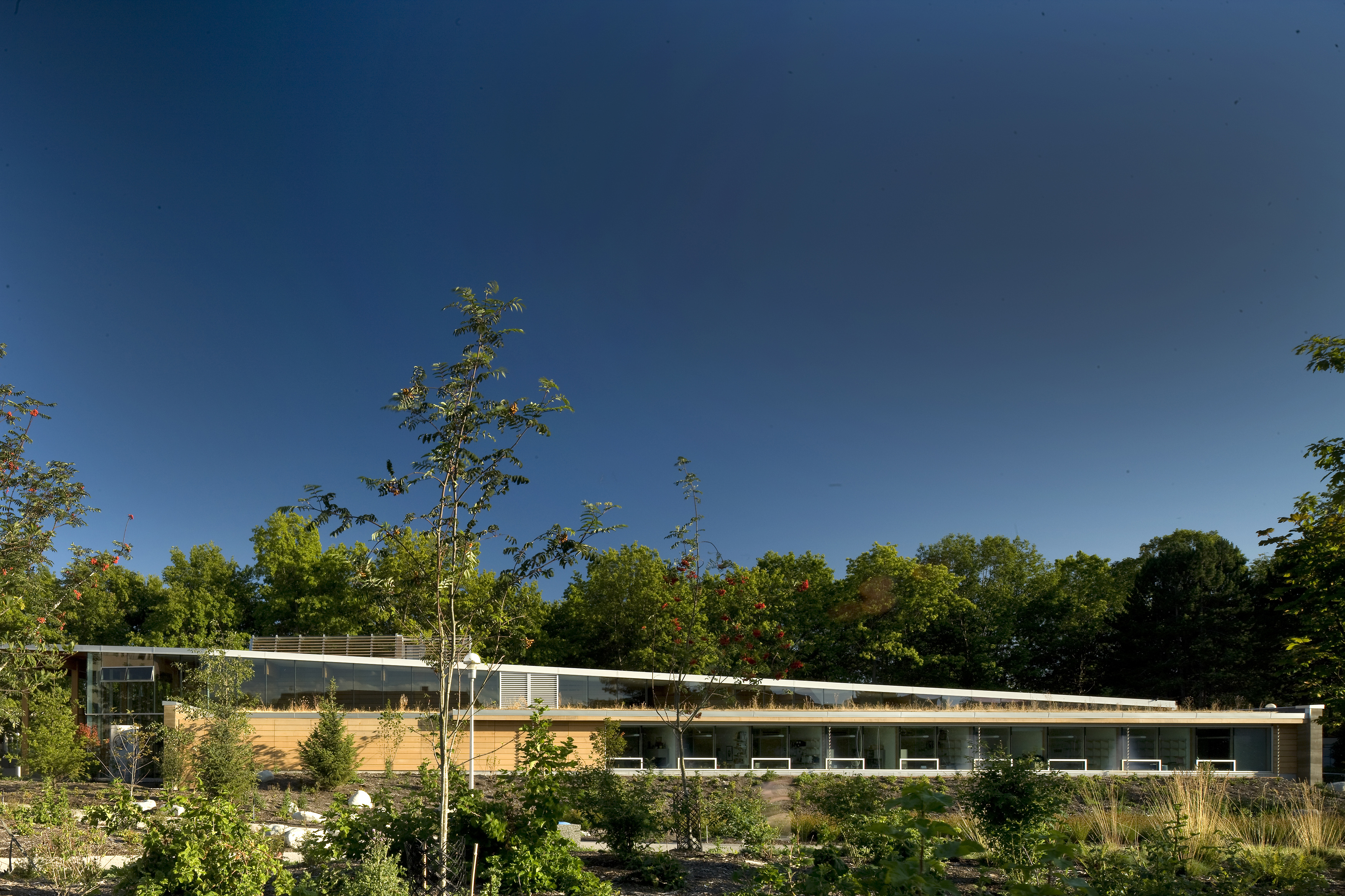 First Peoples House by Formline Architecture + Urbanism - Architizer