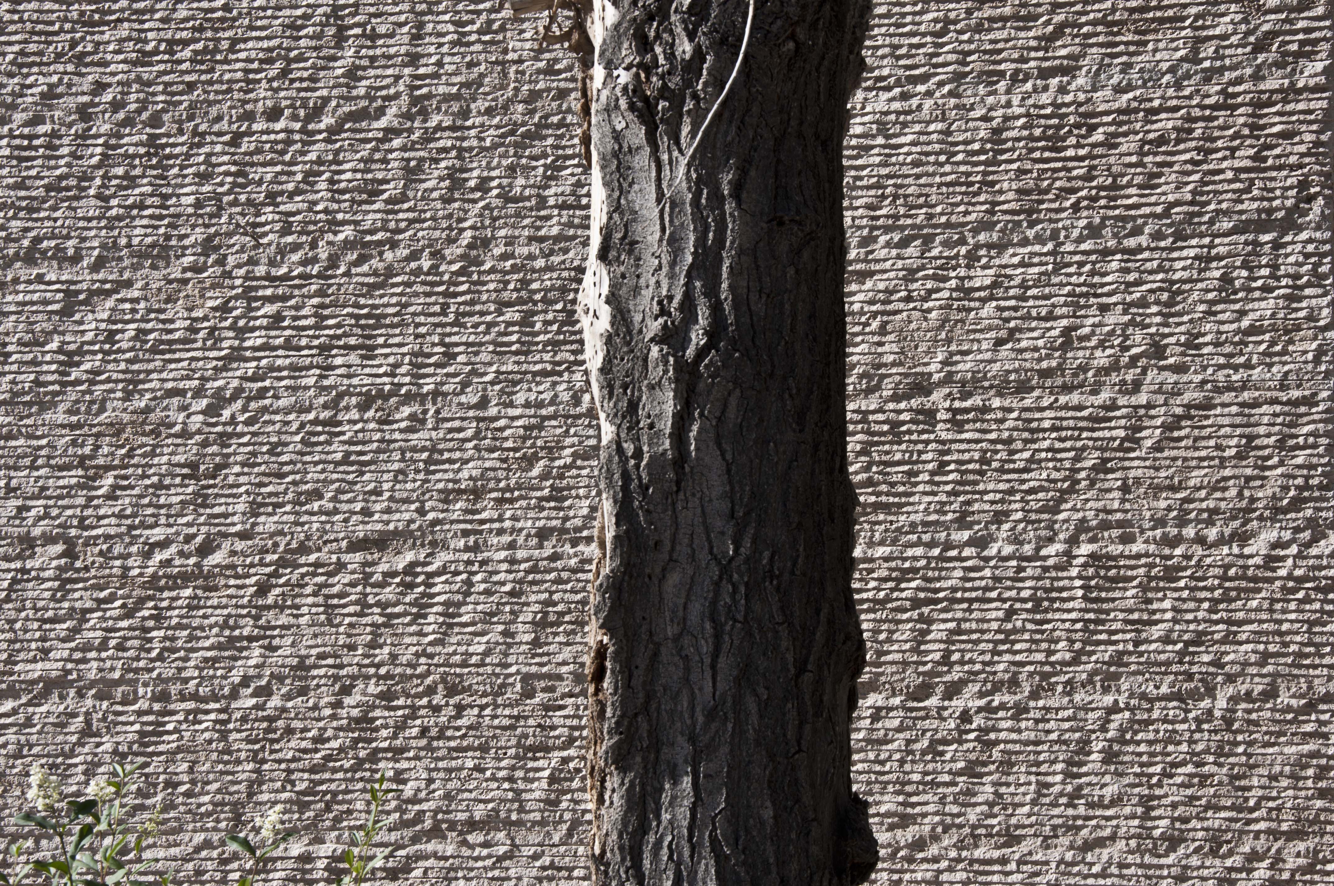 Asef Office Building by Boozhgan Architectural Studio - Architizer