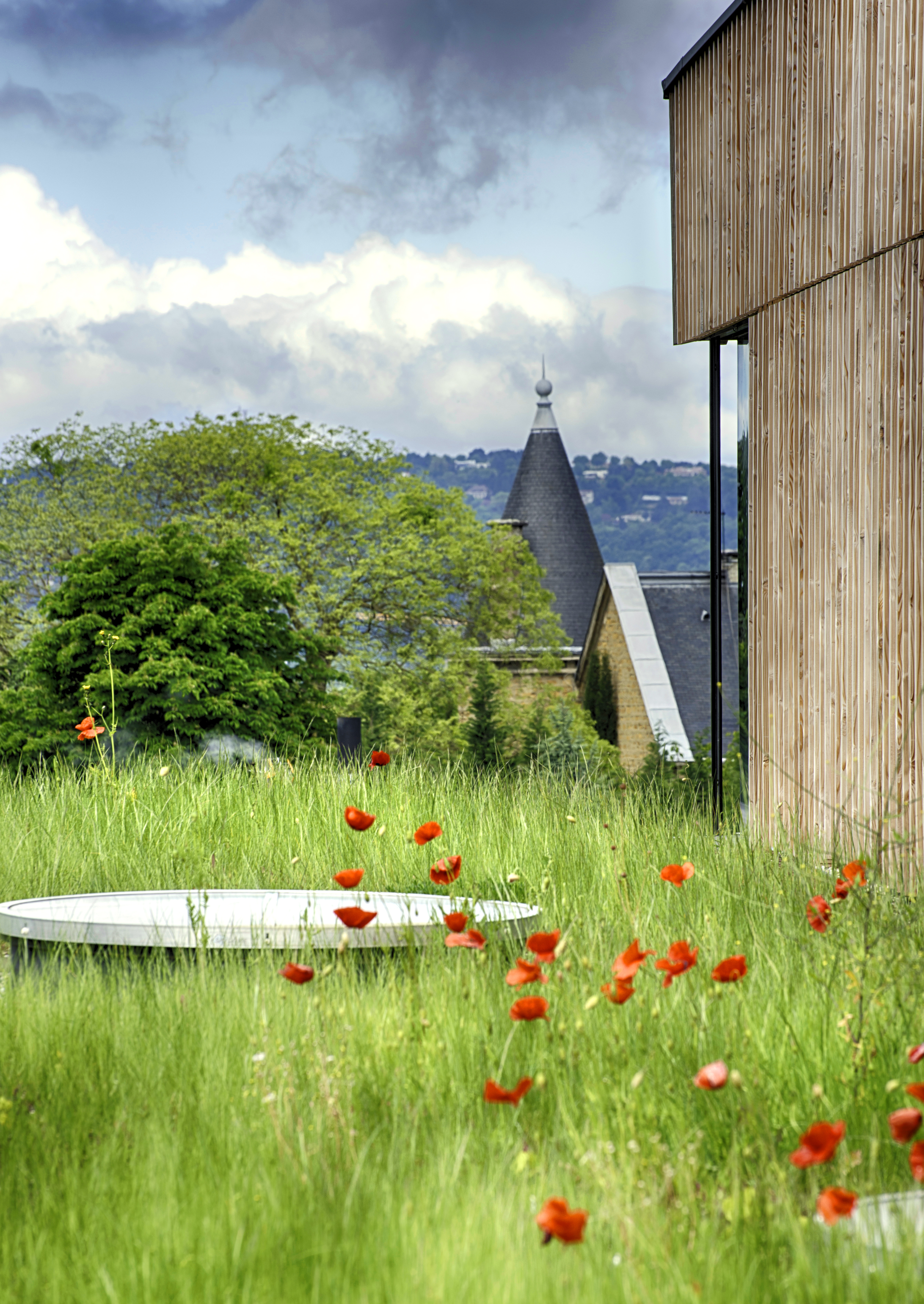 School Complex in Rillieux-la-Pape by Tectoniques Architects - Architizer