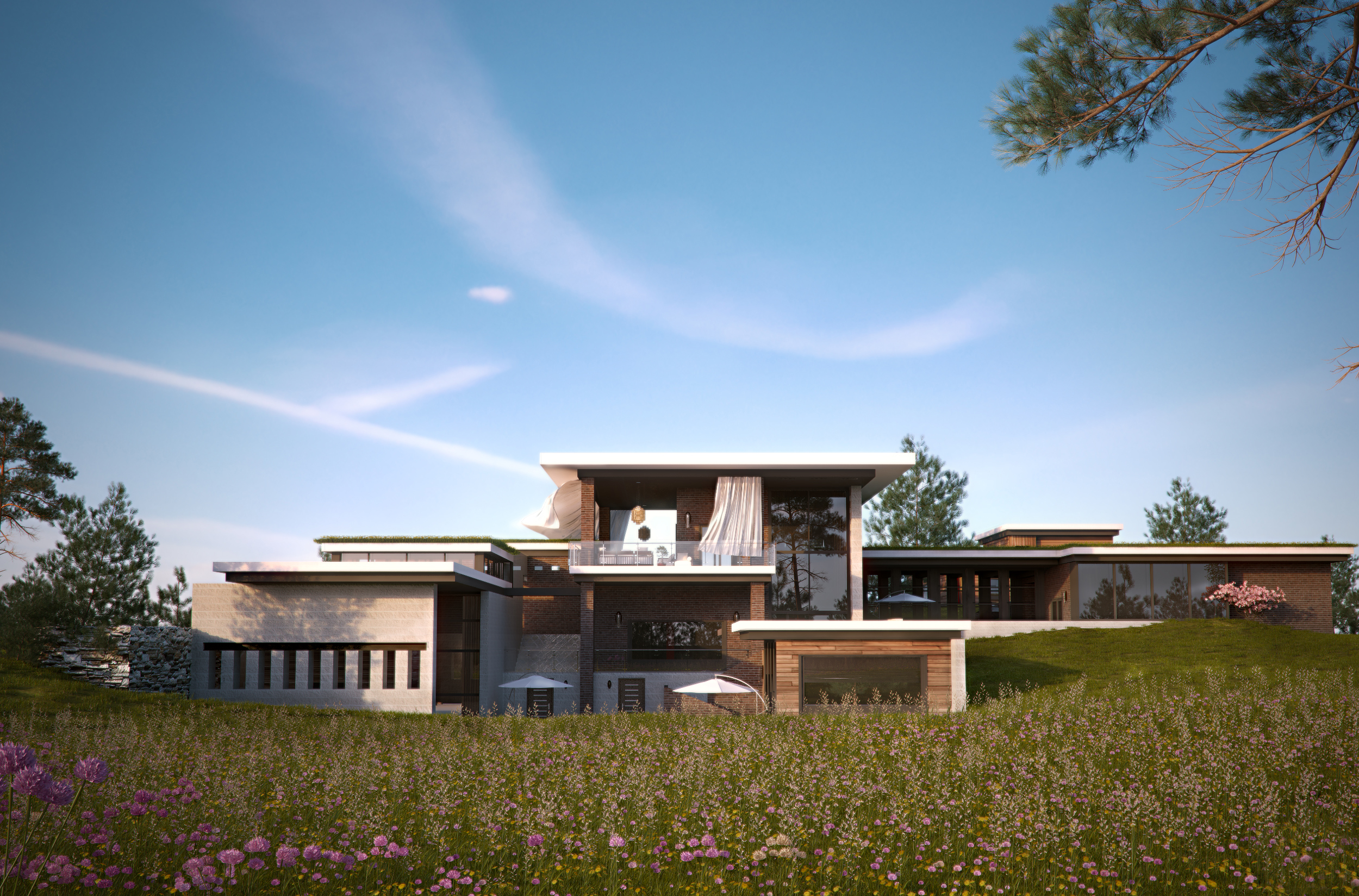 Terrain House by abSketches - Architizer