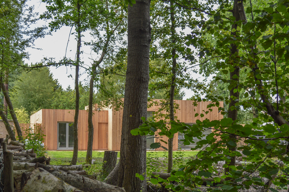 Larch House by Architecturall - Architizer