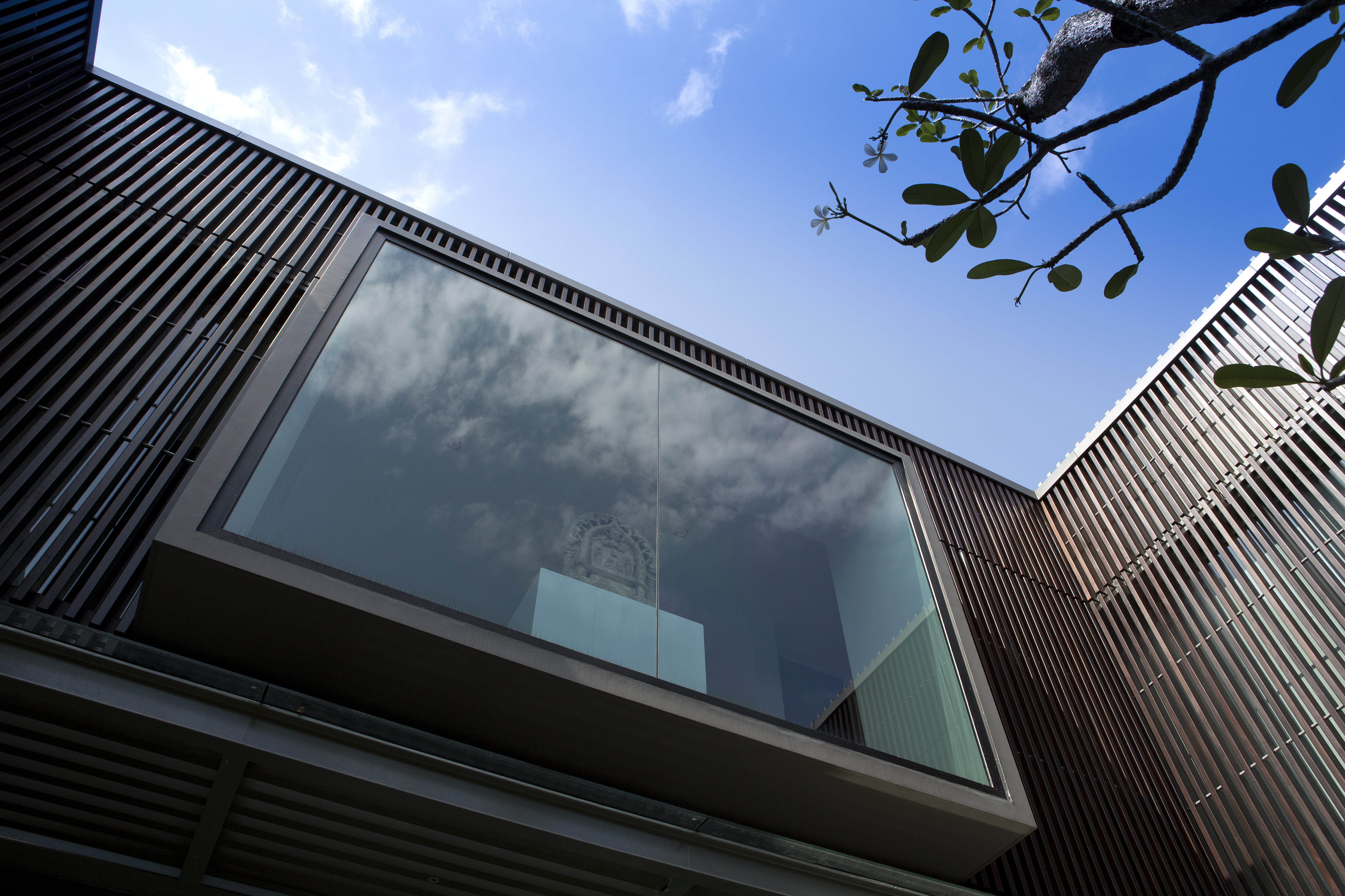 Centennial Tree House by Wallflower Architecture + Design - Architizer