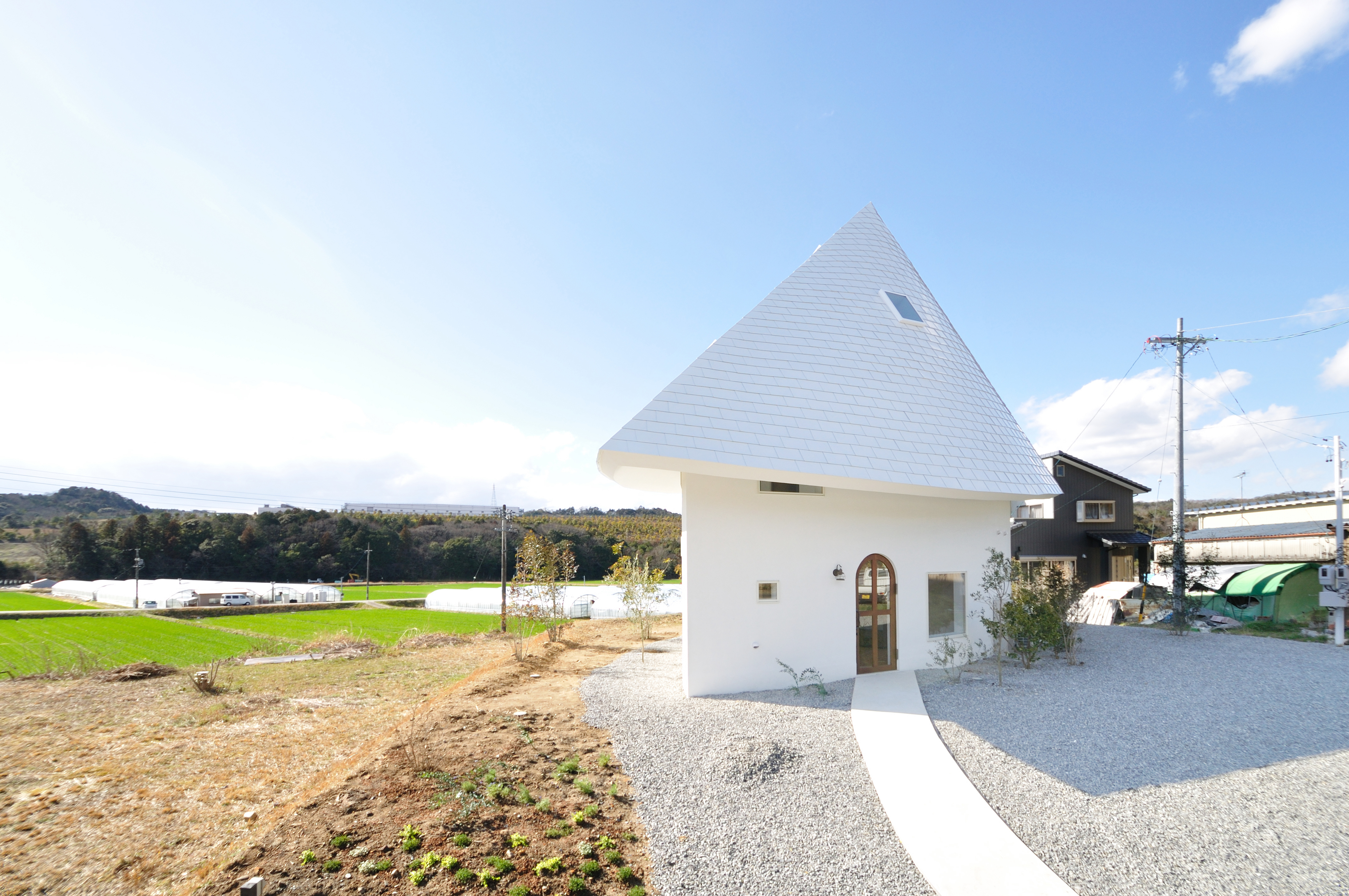 Swelled House by Studio Velocity - Architizer