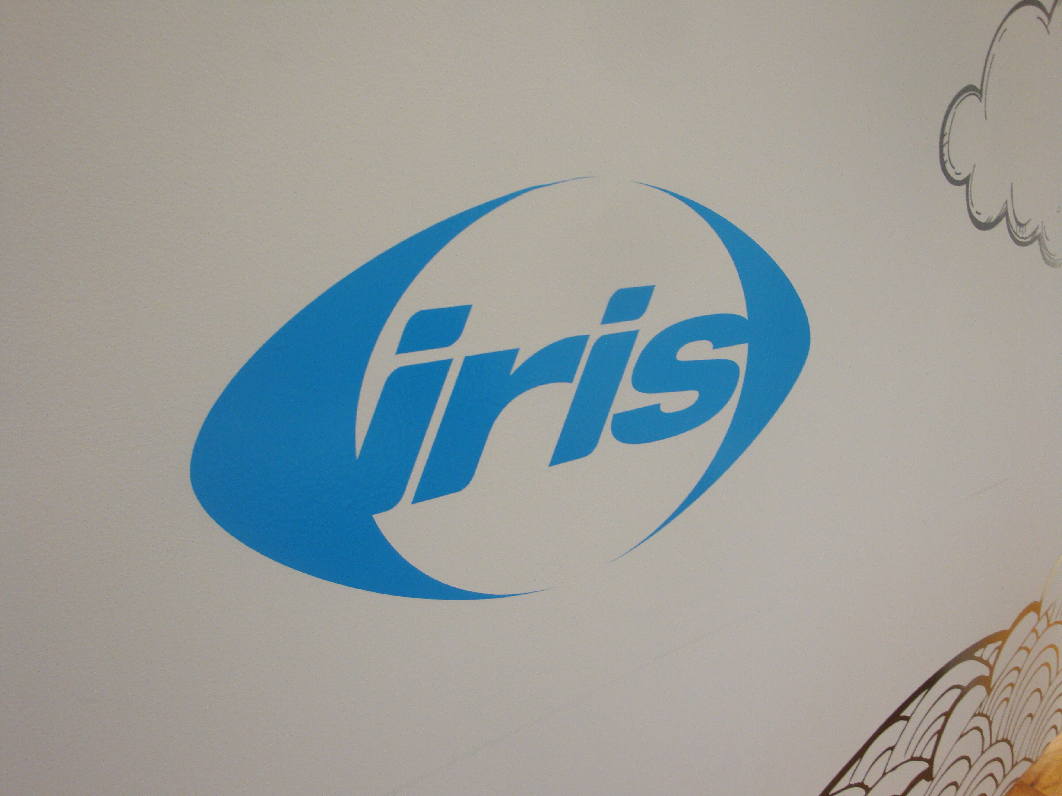 Custom Vinyl Graphics and Vinyl Lettering in New York City by Signs ...