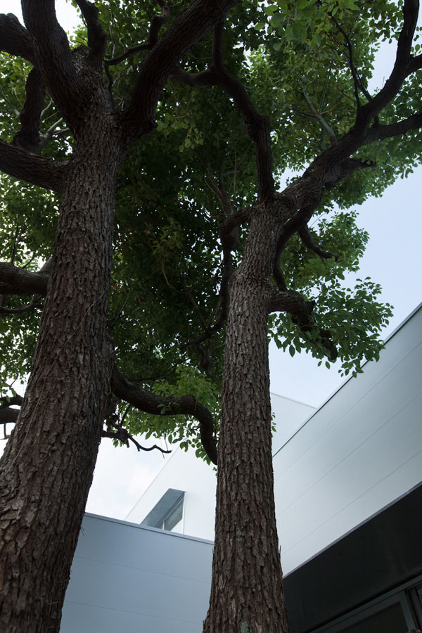 Ik house by Yosuke Ichii Architect - Architizer