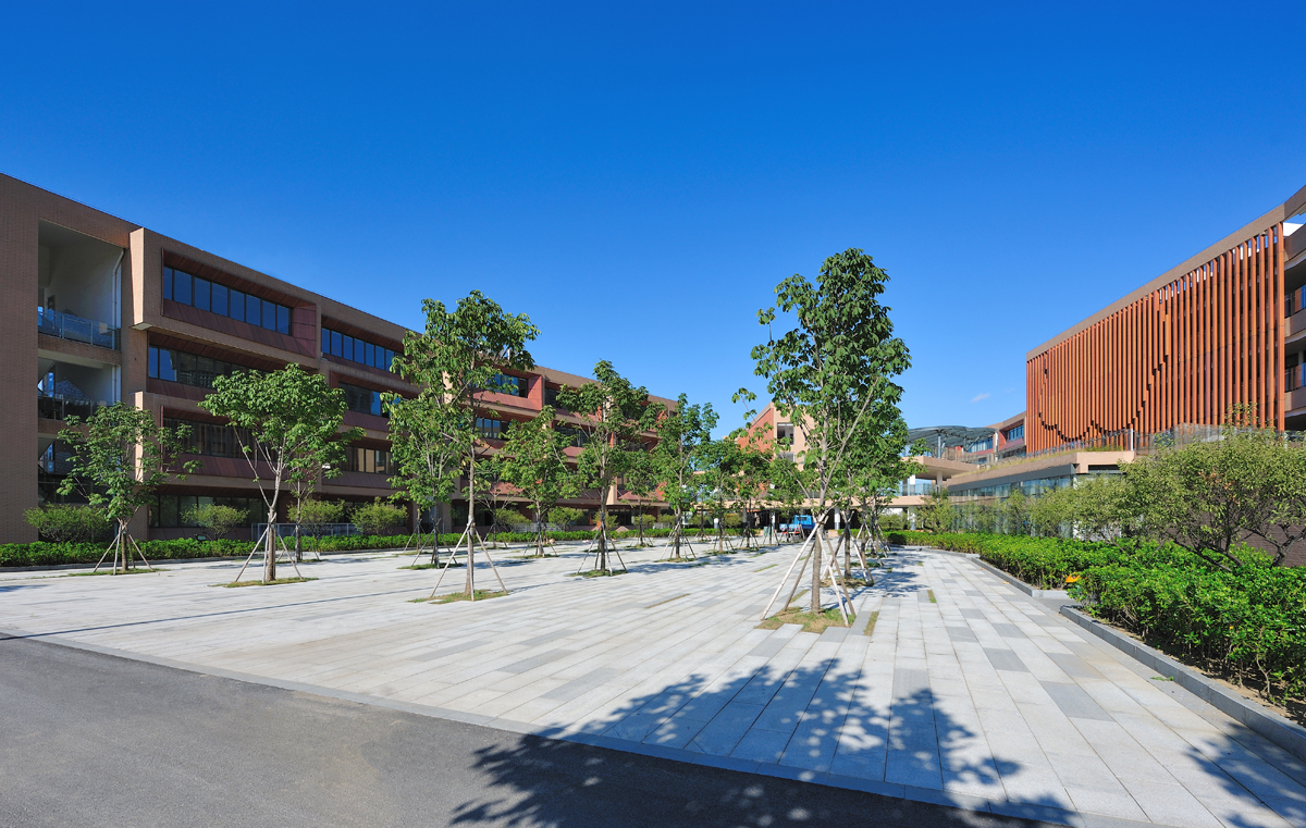 Taihu New Town Primary School by MINAX - Architizer