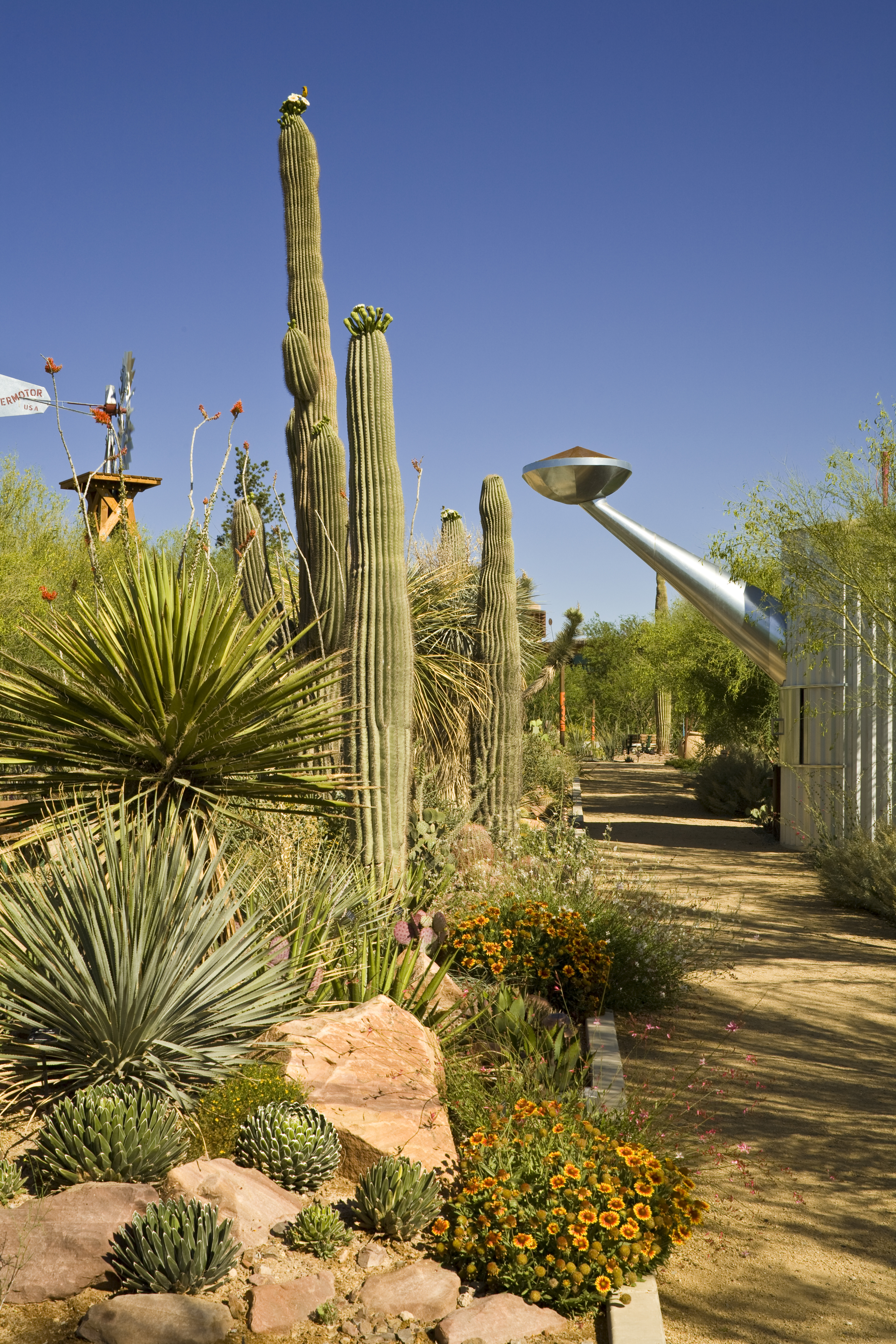 Desert Living Center by Lucchesi Galati - Architizer