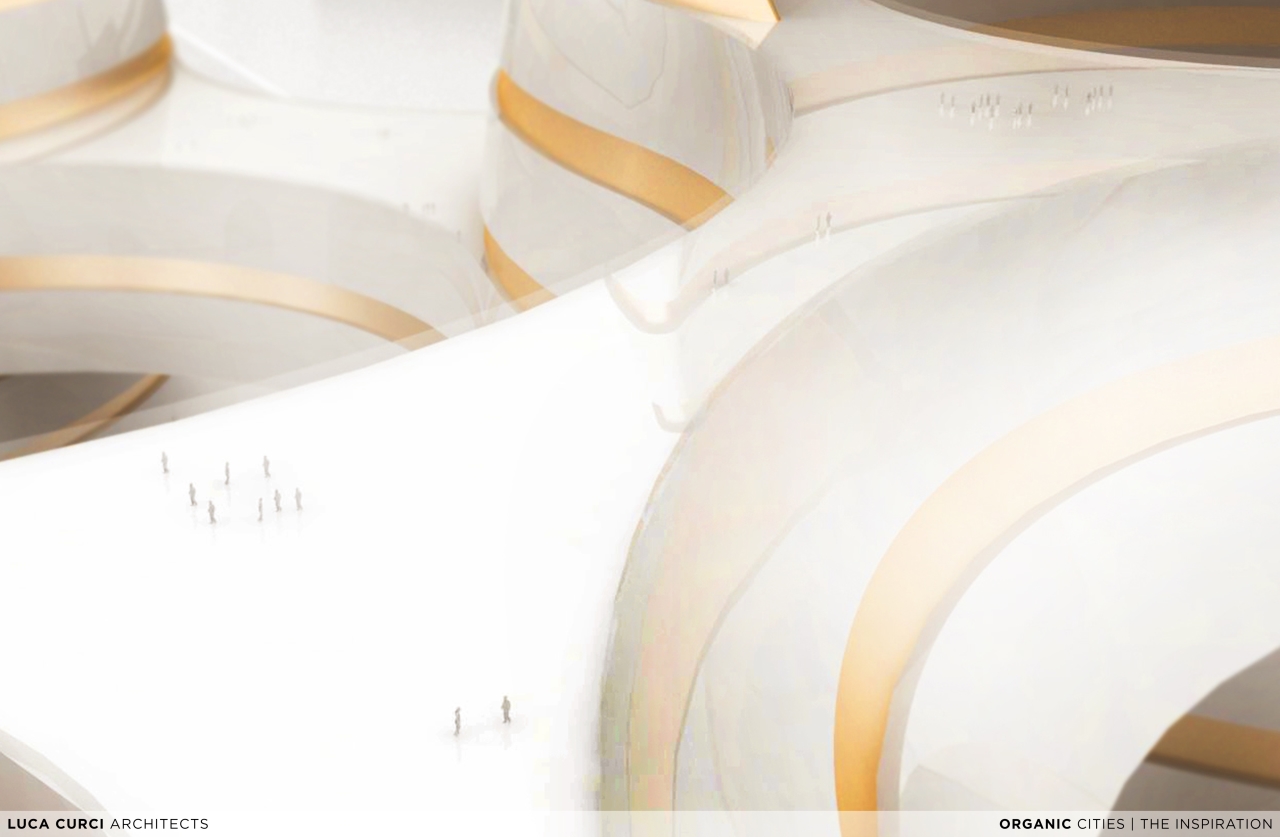 Organic Cities by Luca Curci Architects - Architizer
