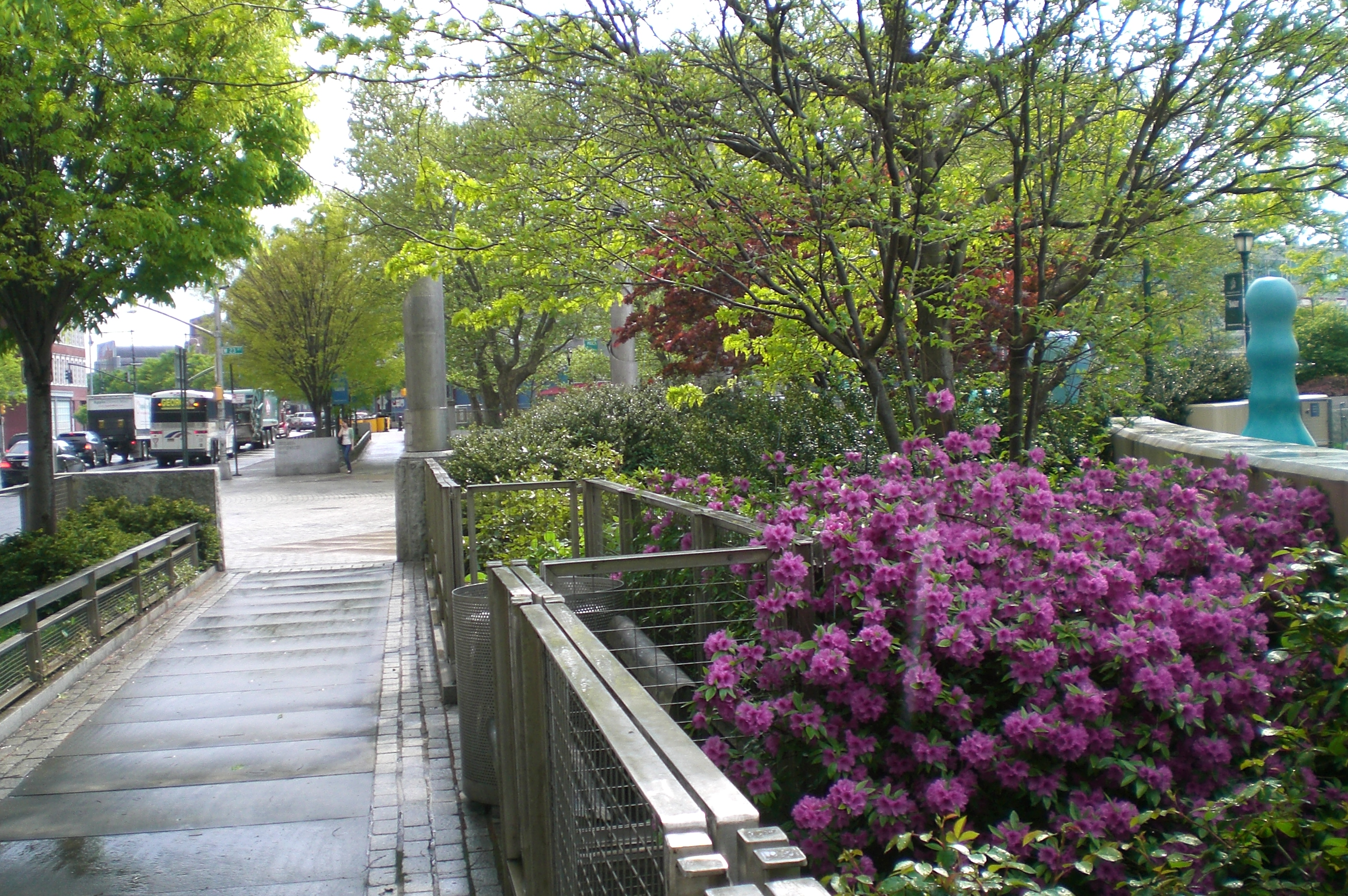Chelsea Waterside Park seasonal planting and care by Blondie's ...
