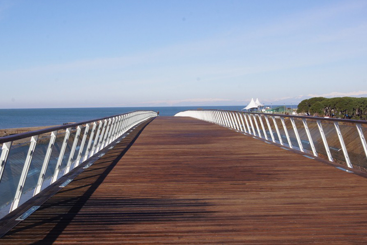 Anaklia-Ganmuhkuri Pedestrian Bridge by Fast + Epp - Architizer