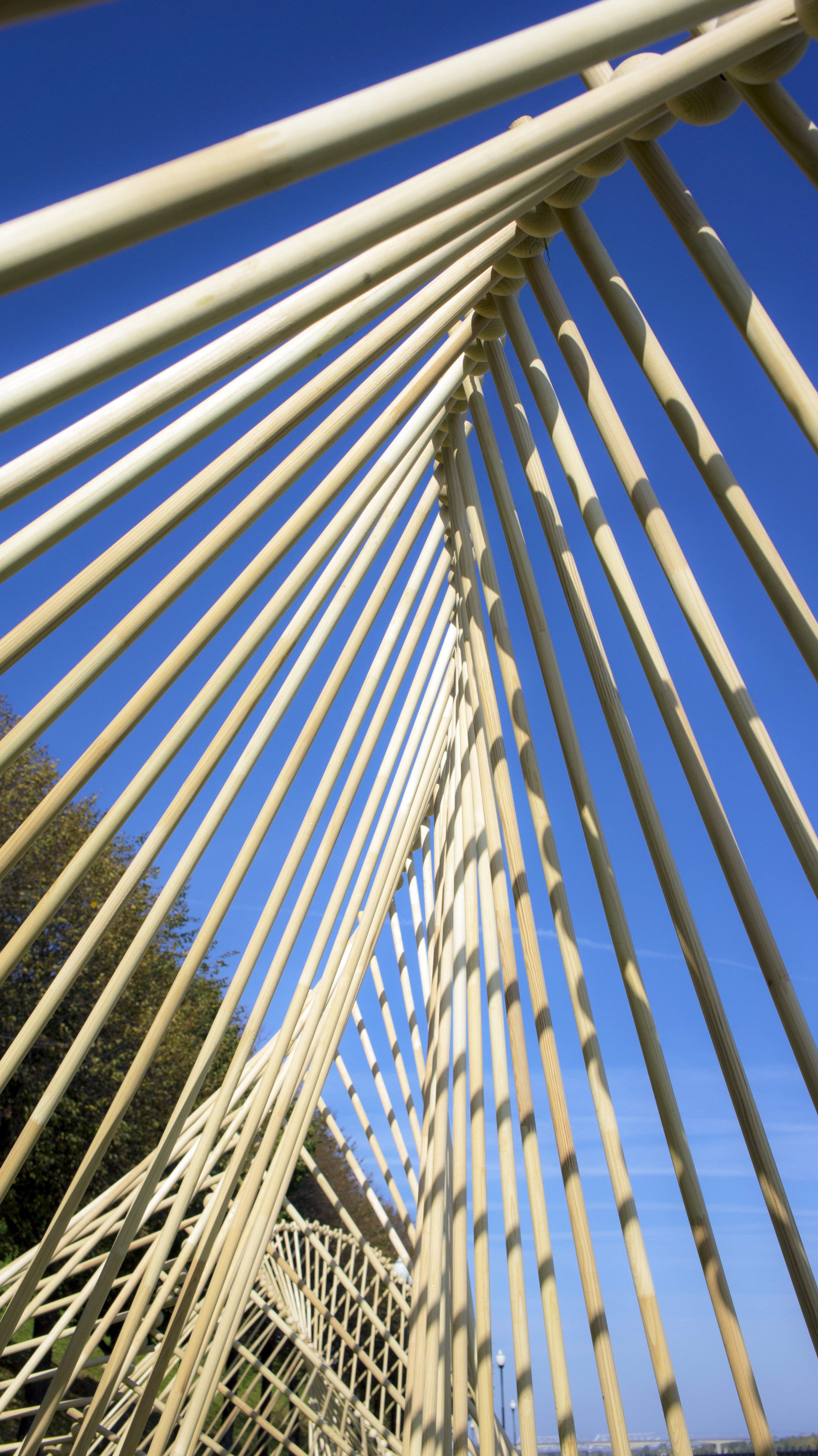 Architecture of Movement by Tatjana Gorbachewskaja - Architizer