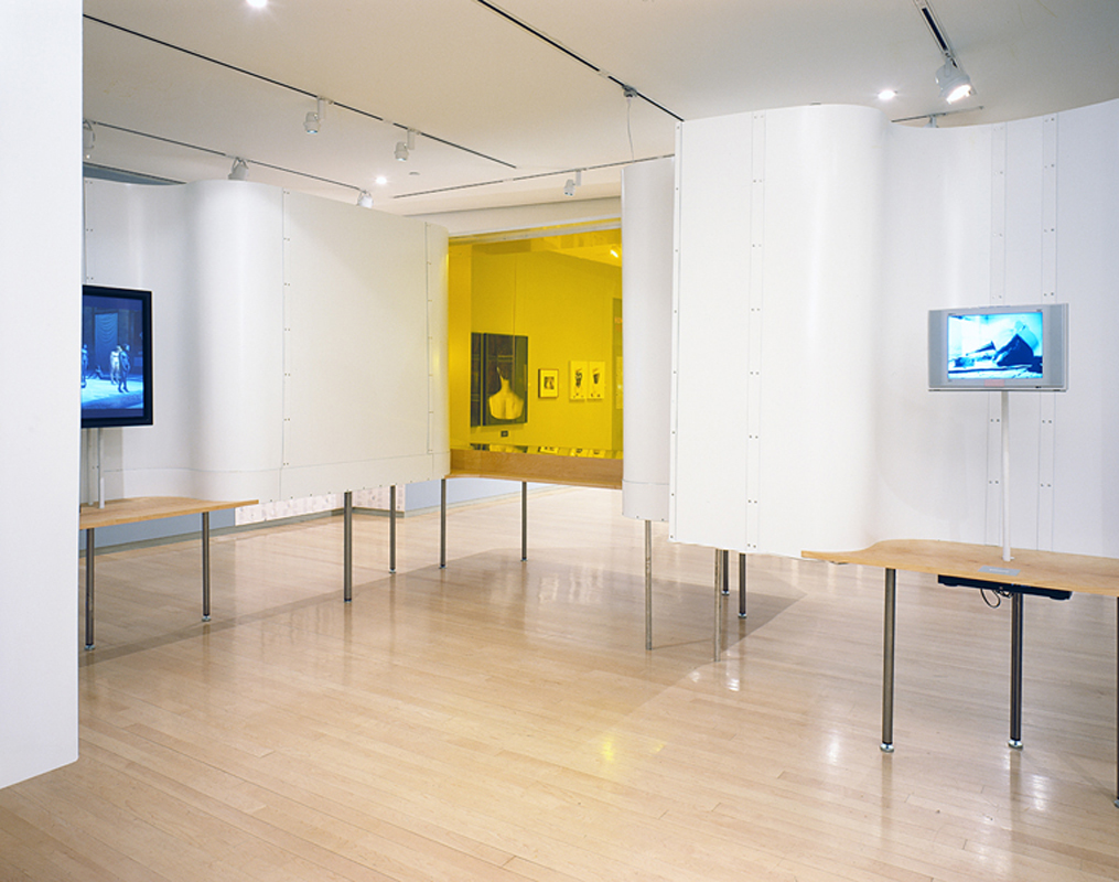 Only Skin Deep, International Center of Photography by Tim Durfee ...