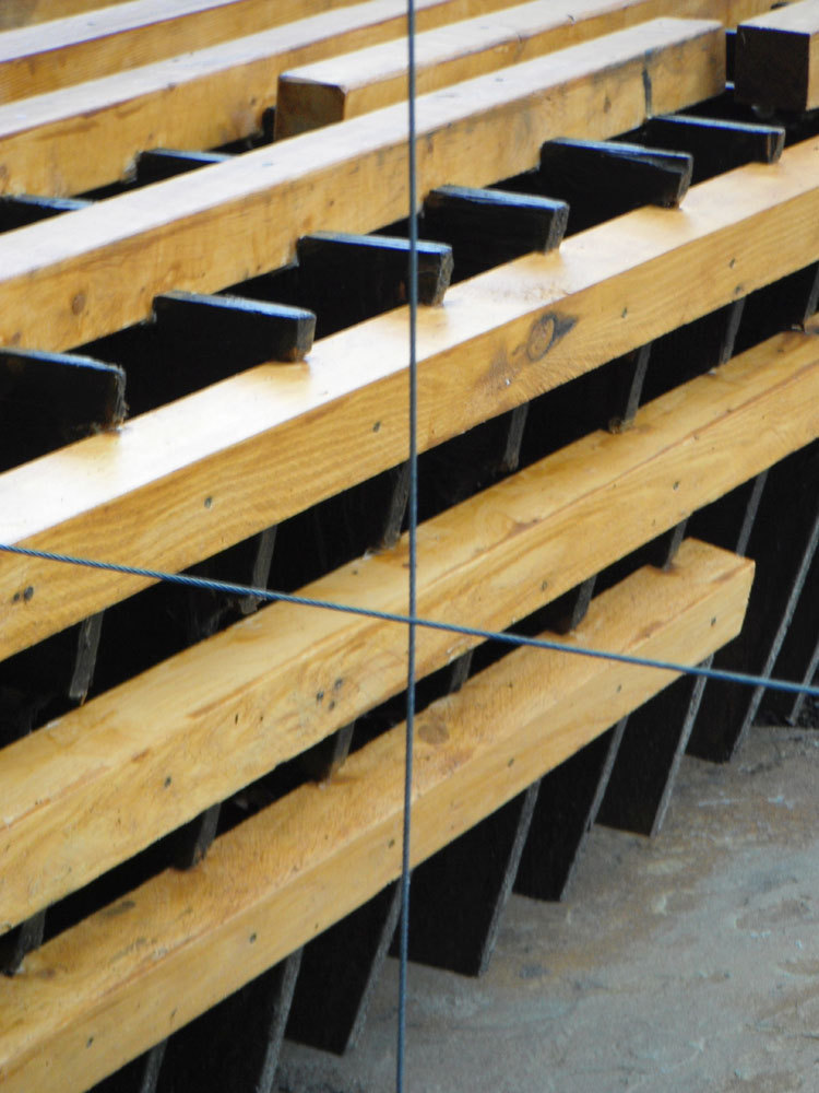 Grape Vine Pergola Experiment by metamechanics - Christopher Teeter, R ...