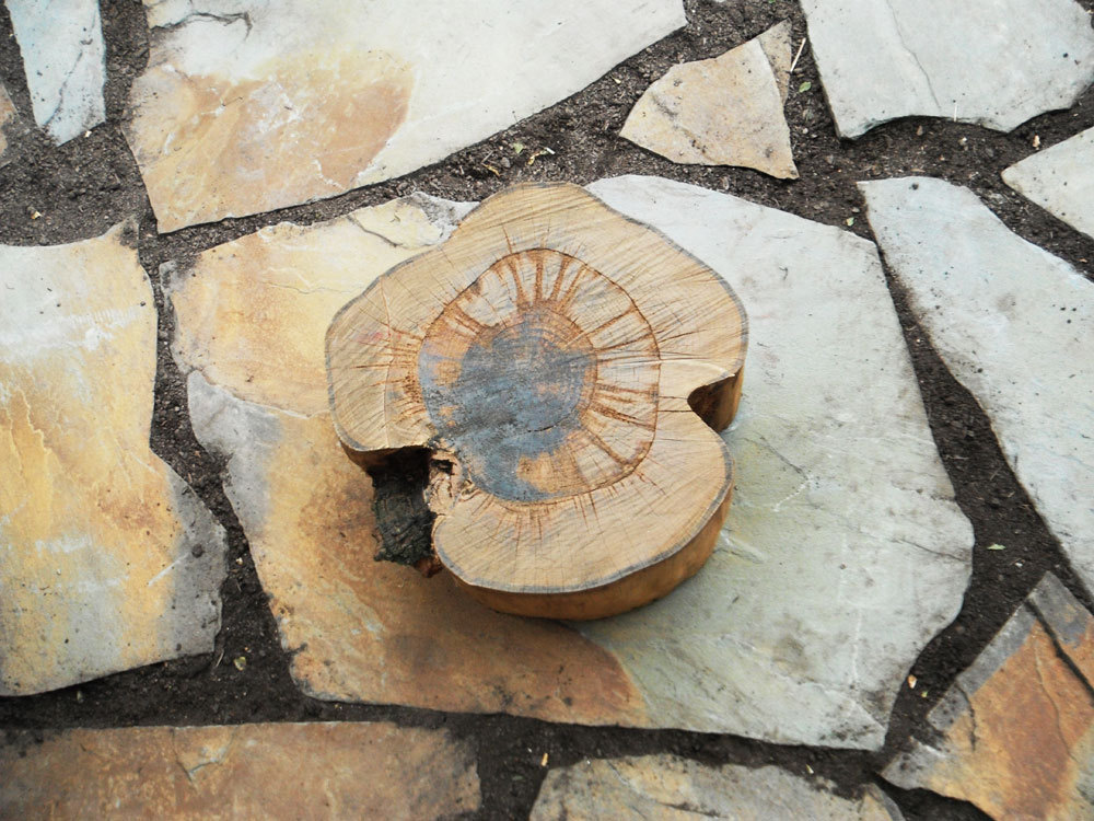 Grape Vine Pergola Experiment by metamechanics - Christopher Teeter, R ...