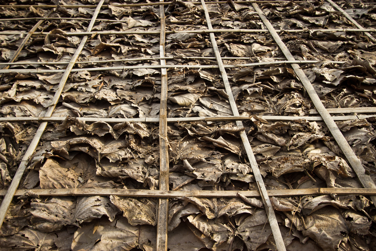 New Training Center Campus & Temporary Dormitories by a.gor.a ...