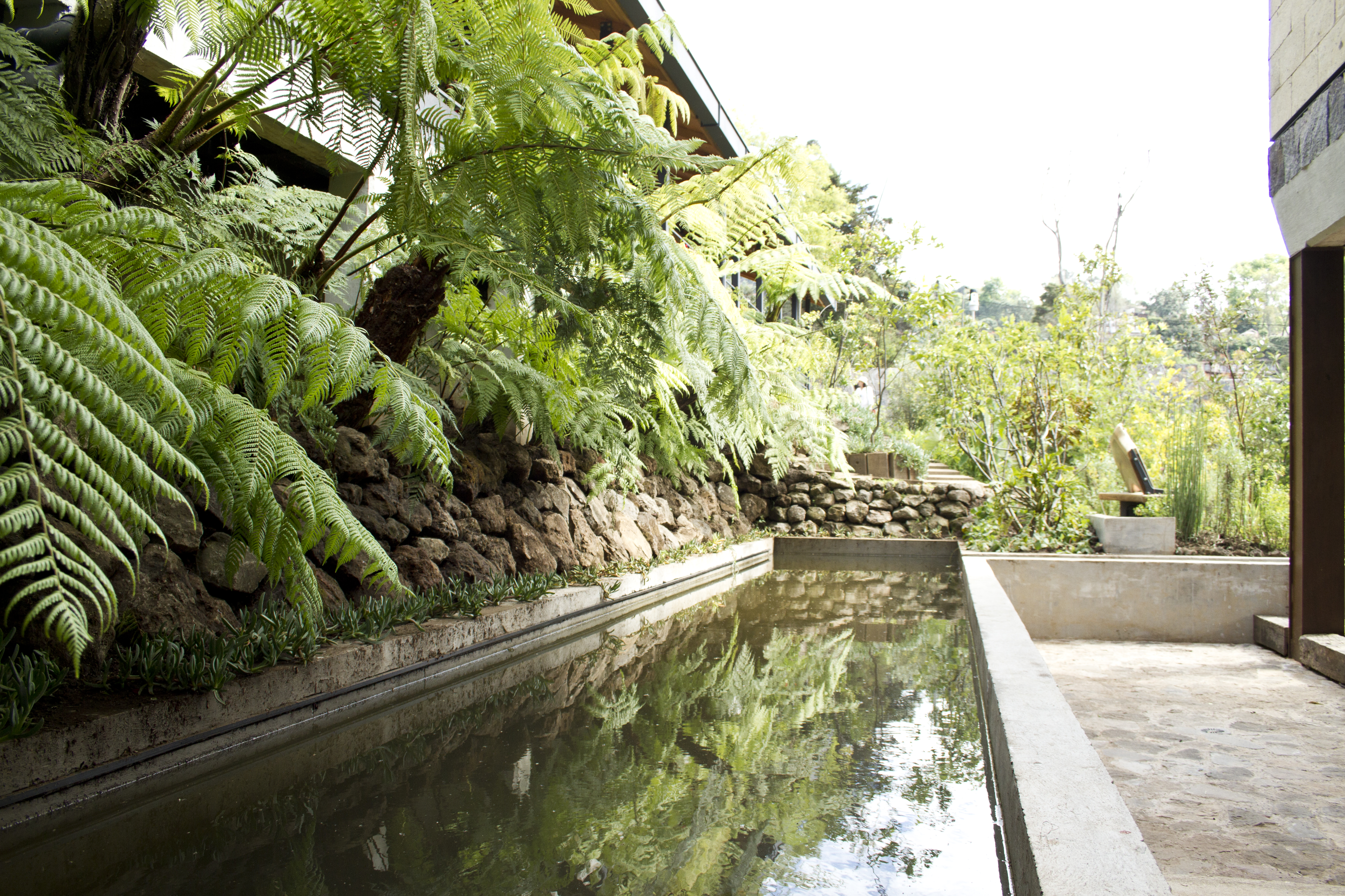 El Humedal (The Wetland) by TAAR / Taller de Arquitectura de Alto ...