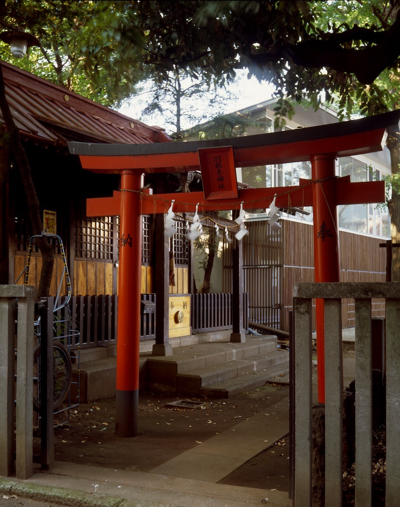 Hanegi shrine office by Ishida Architects - Architizer
