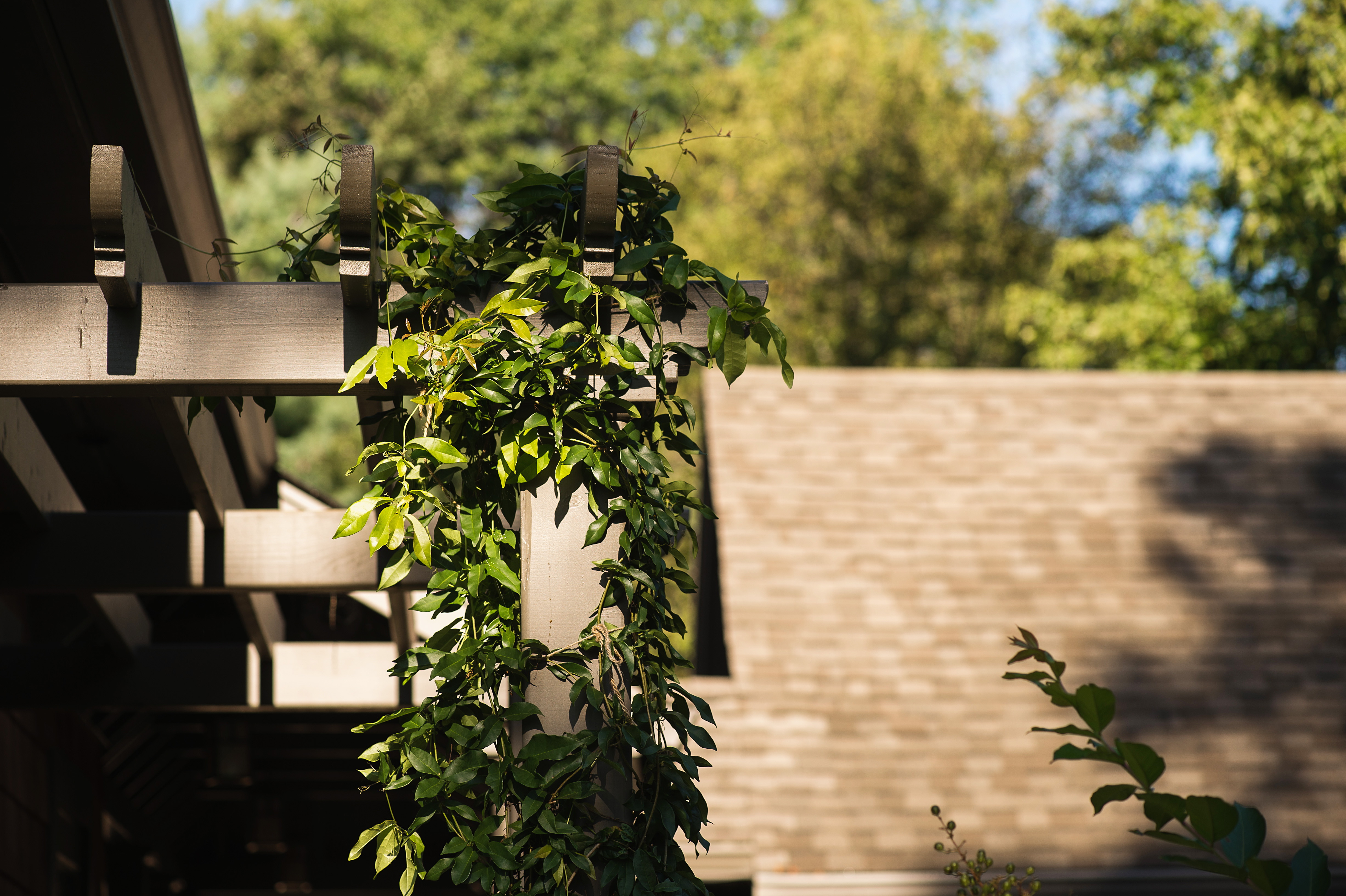 Wallace / Hodges Residence by nomi - Architizer