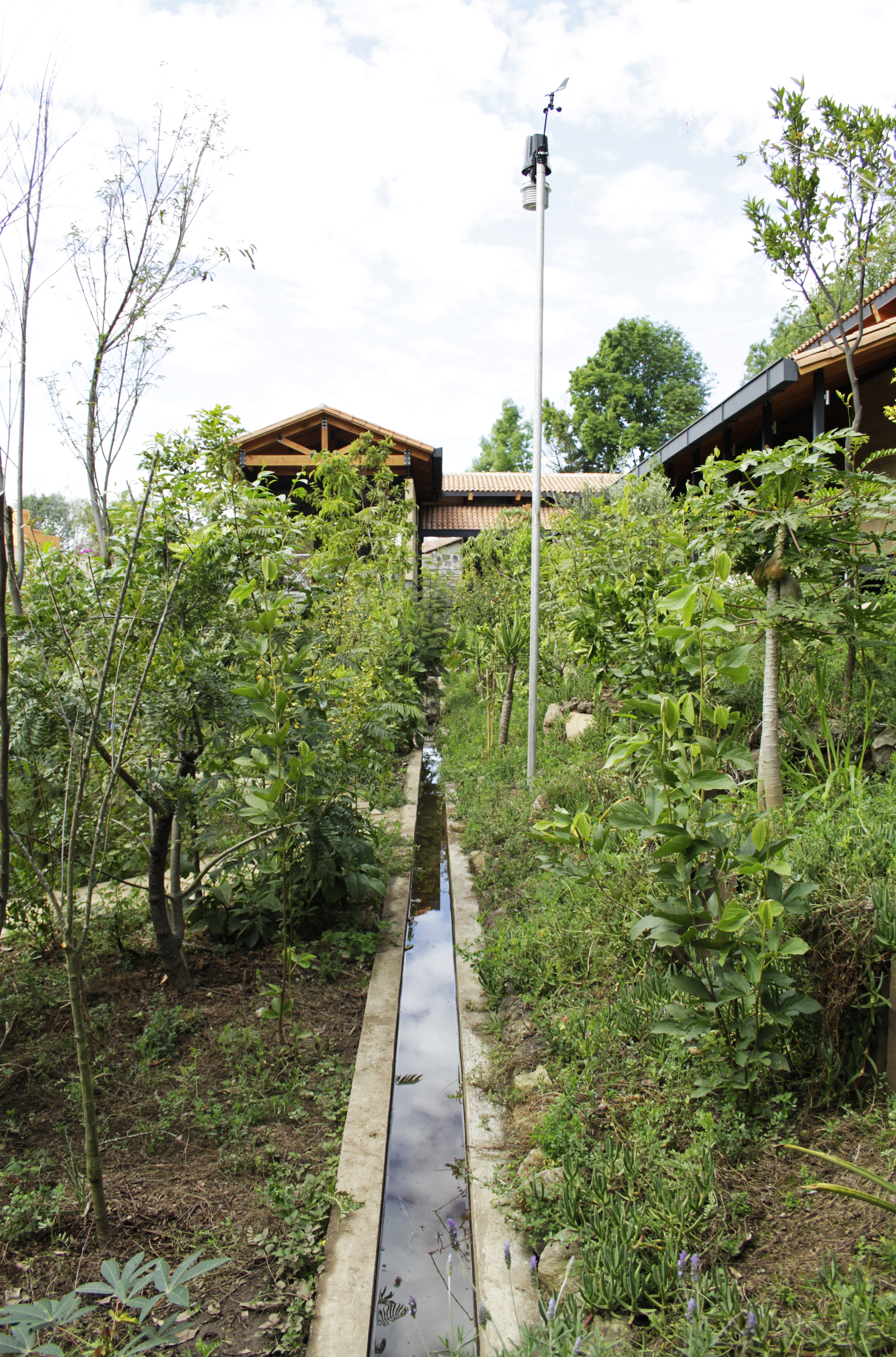 El Humedal (The Wetland) by TAAR / Taller de Arquitectura de Alto ...