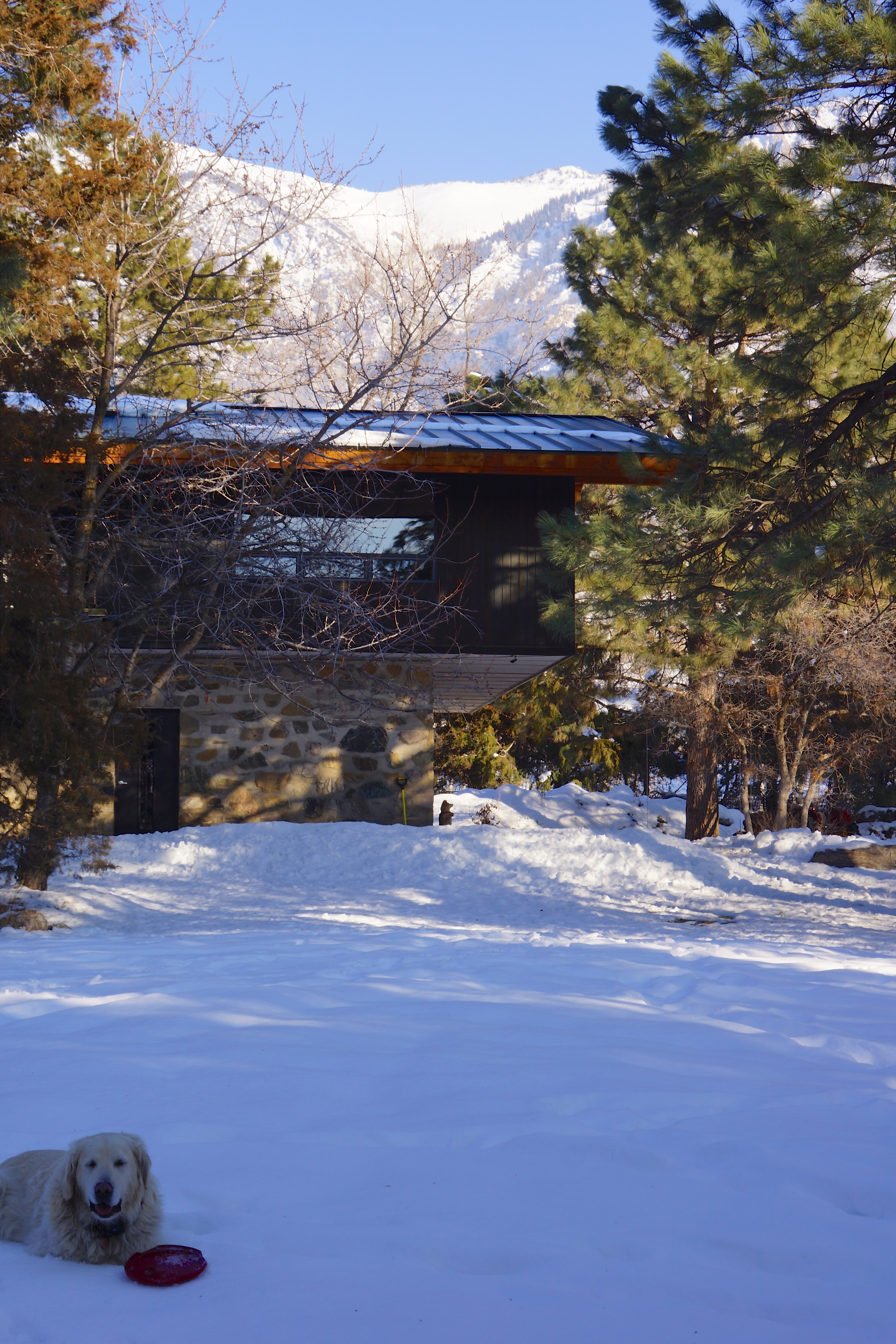 Layton House by Schri Kakinuma - Architizer