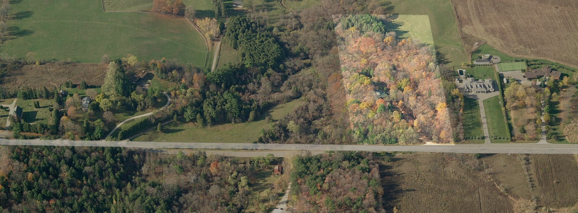 Idea 720347: Pine Valley Concept by FrankFranco Architects - Architizer