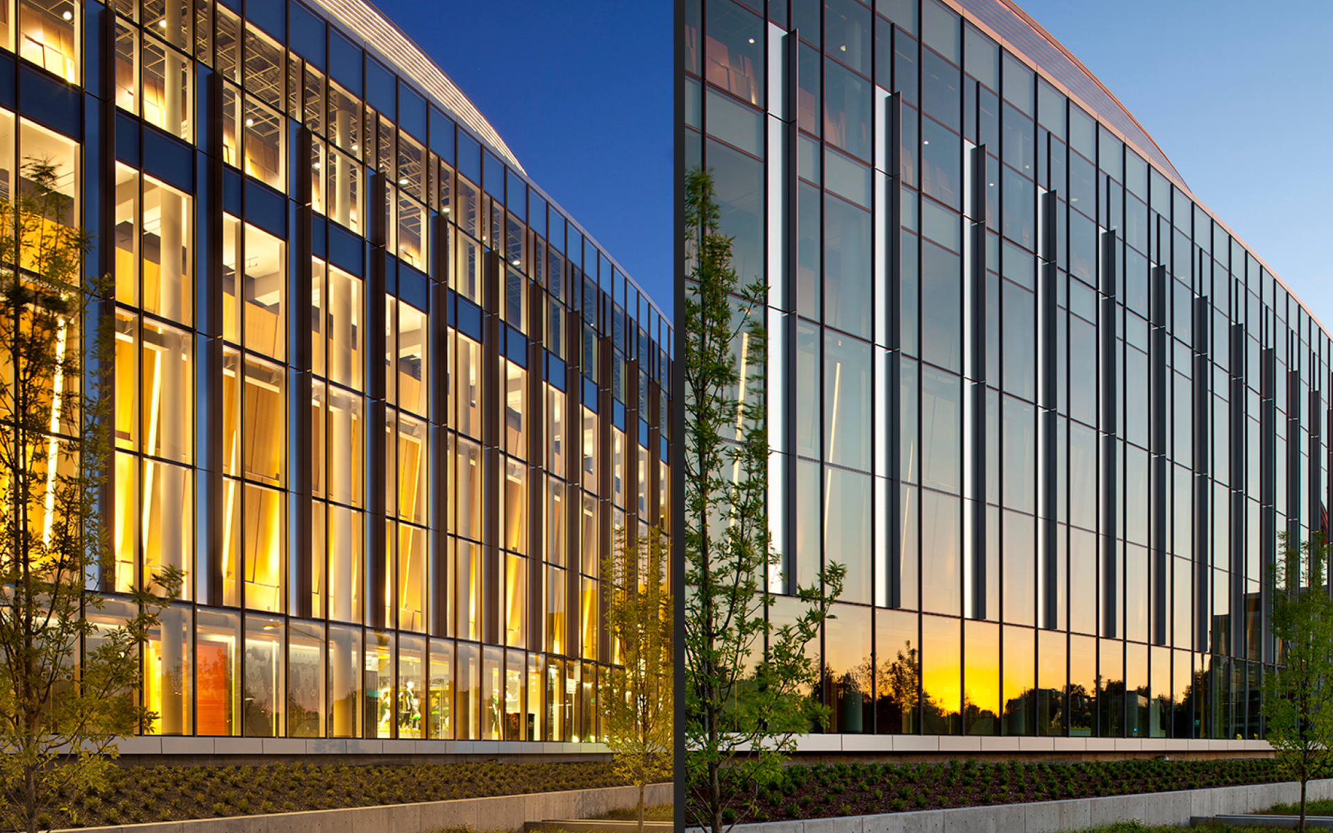 University of Oregon - Matthew Knight Arena by TVA Architects - Architizer