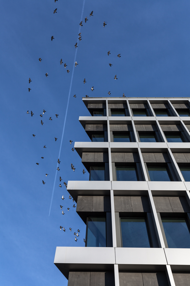 Grzybek Office/Retail Building by t-33 architects - Architizer