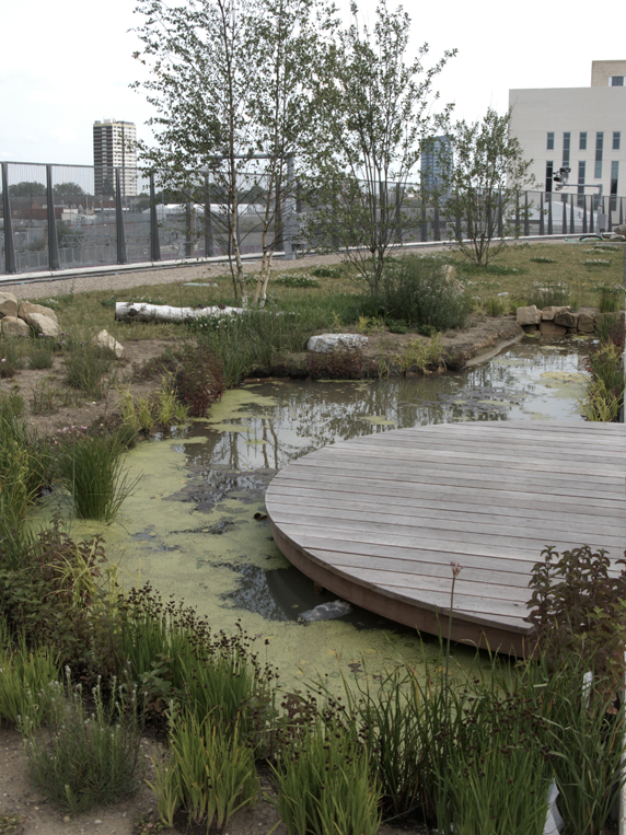 Chobham Academy by Allford Hall Monaghan Morris - Architizer