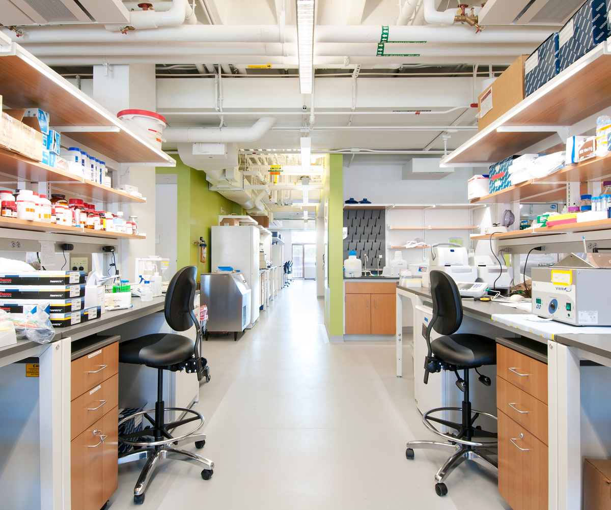 Creating the Nexus for Detroit's Techtown by Payette - Architizer