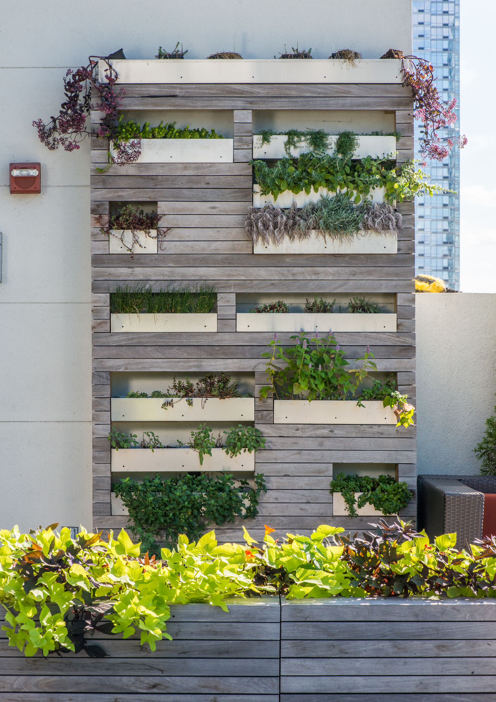 Pool Farm by Future Green Studio - Architizer