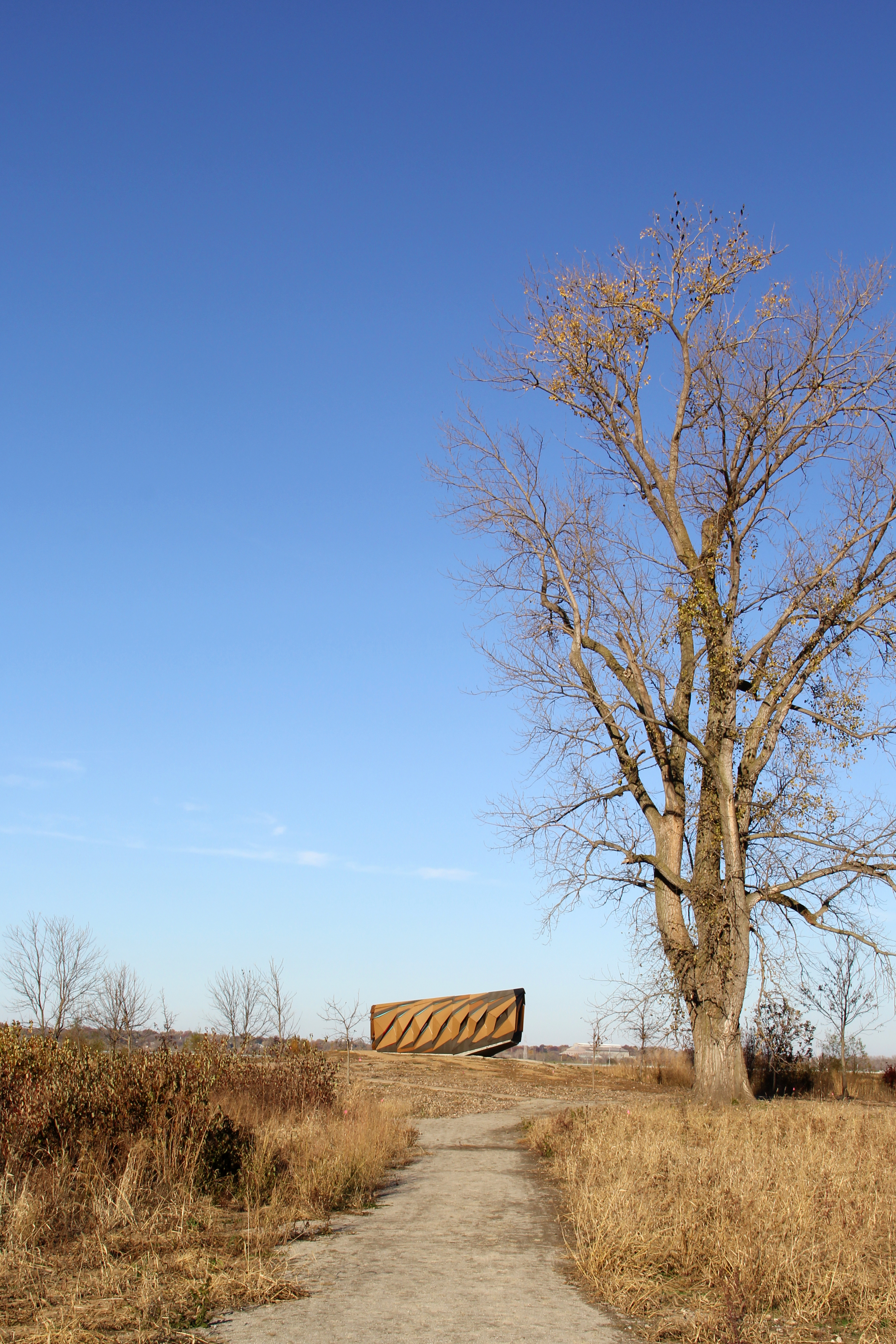 Riverlands Avian Observatory by Cobalt Office - Architizer